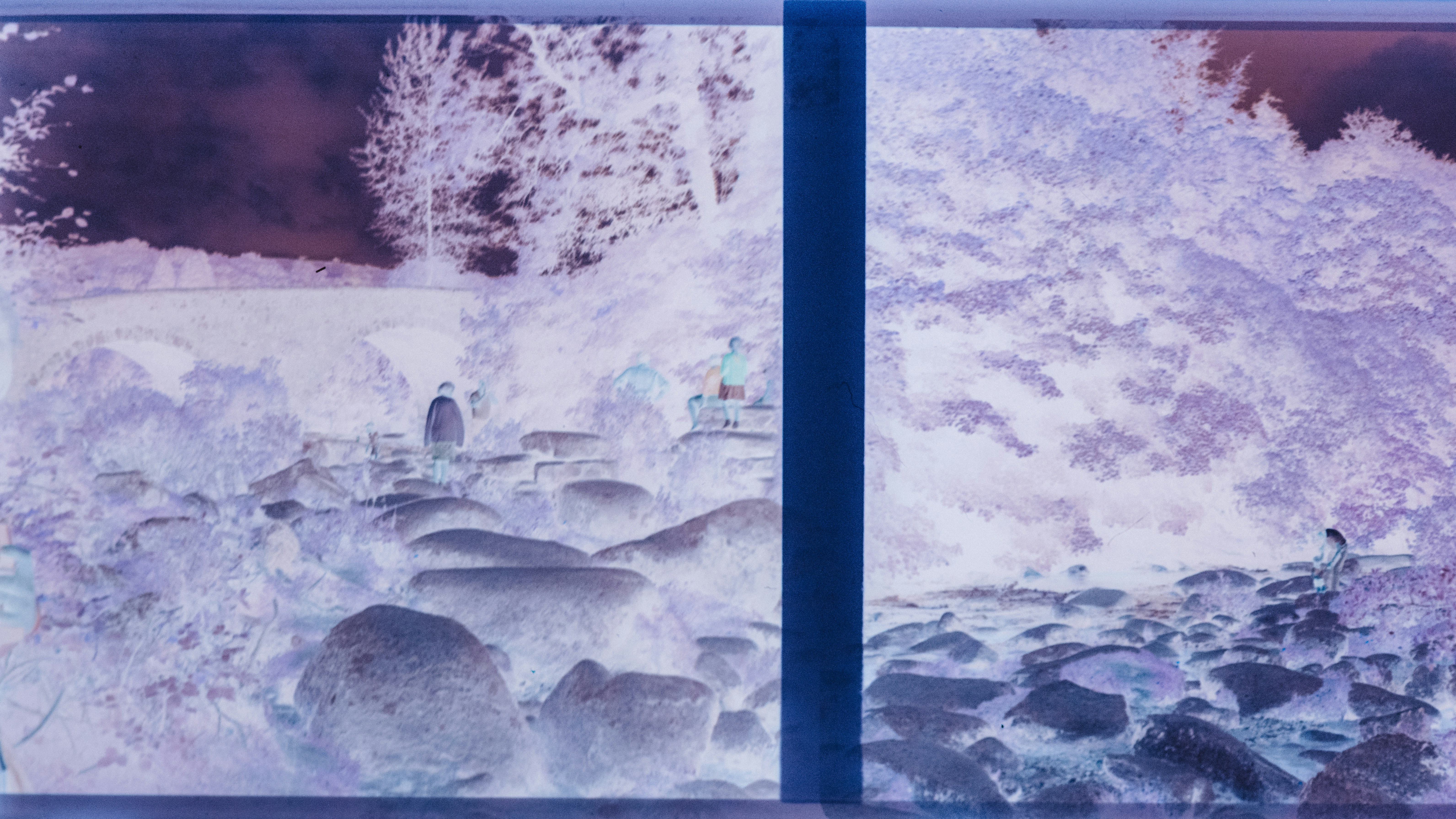 Inverted landscape with rocks and trees photo – Free Vintage Image on ...