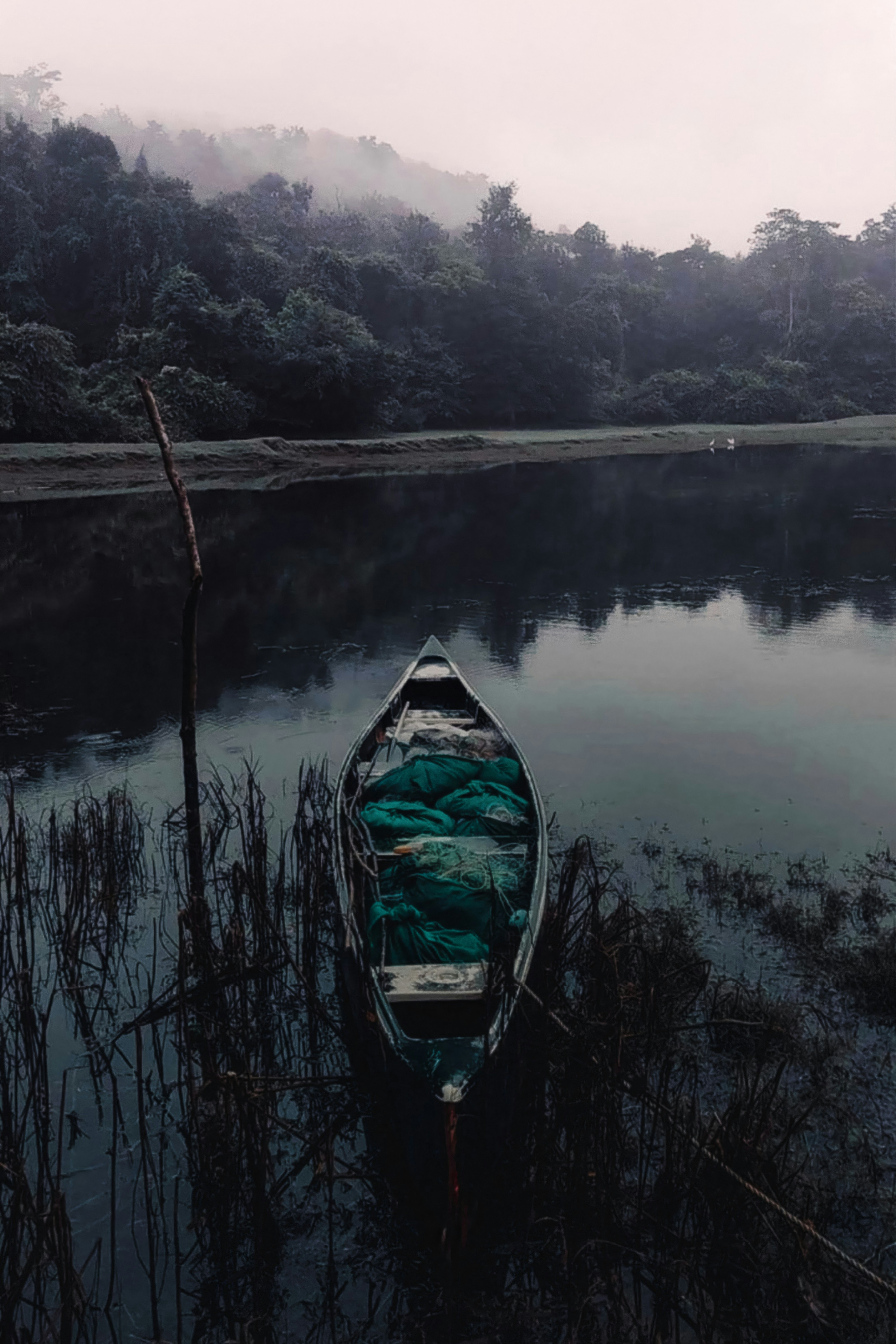 Serenity on Still Waters: A Fisherman's Haven