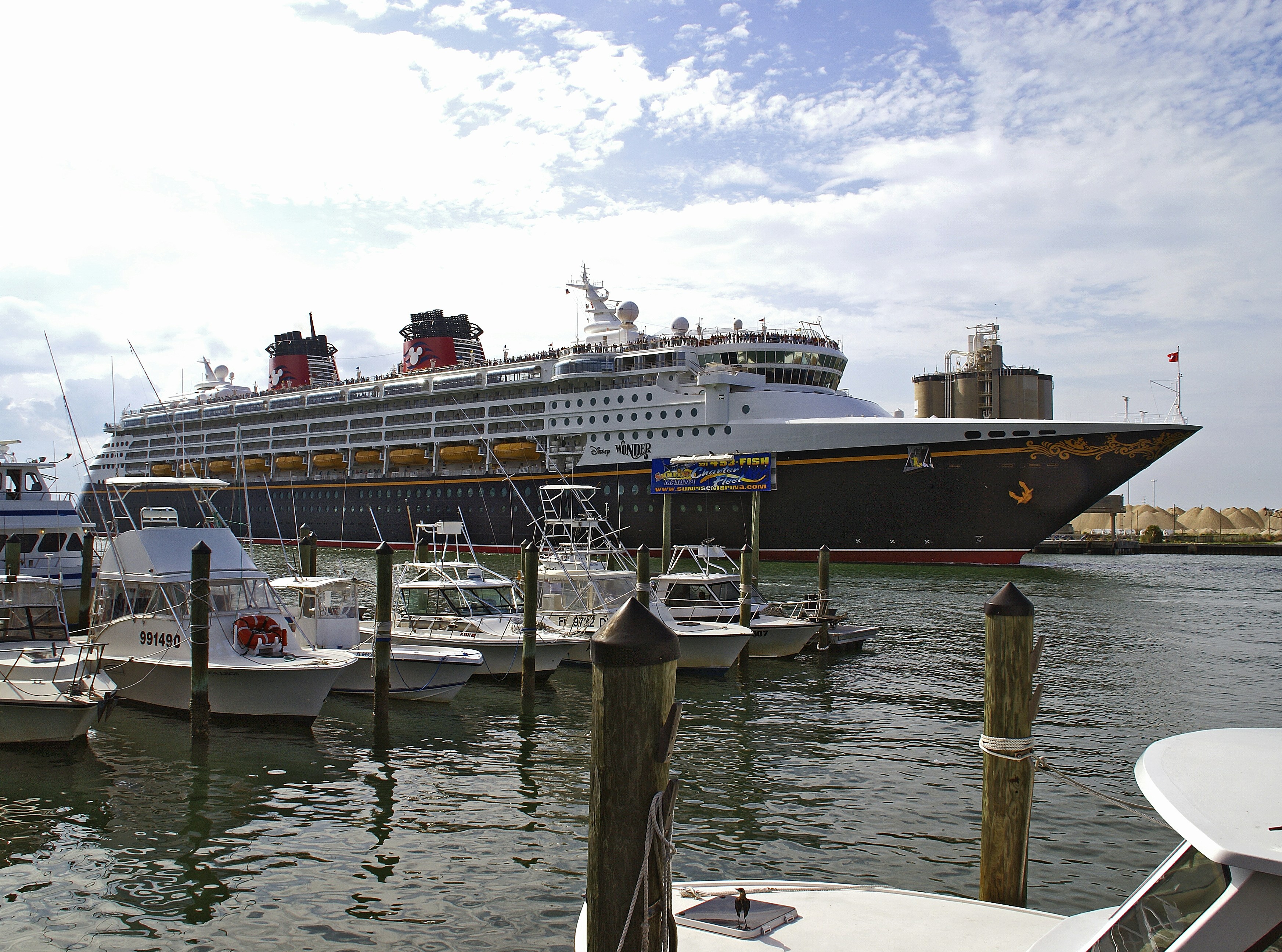 Majestic Vessel at Harbor's Edge