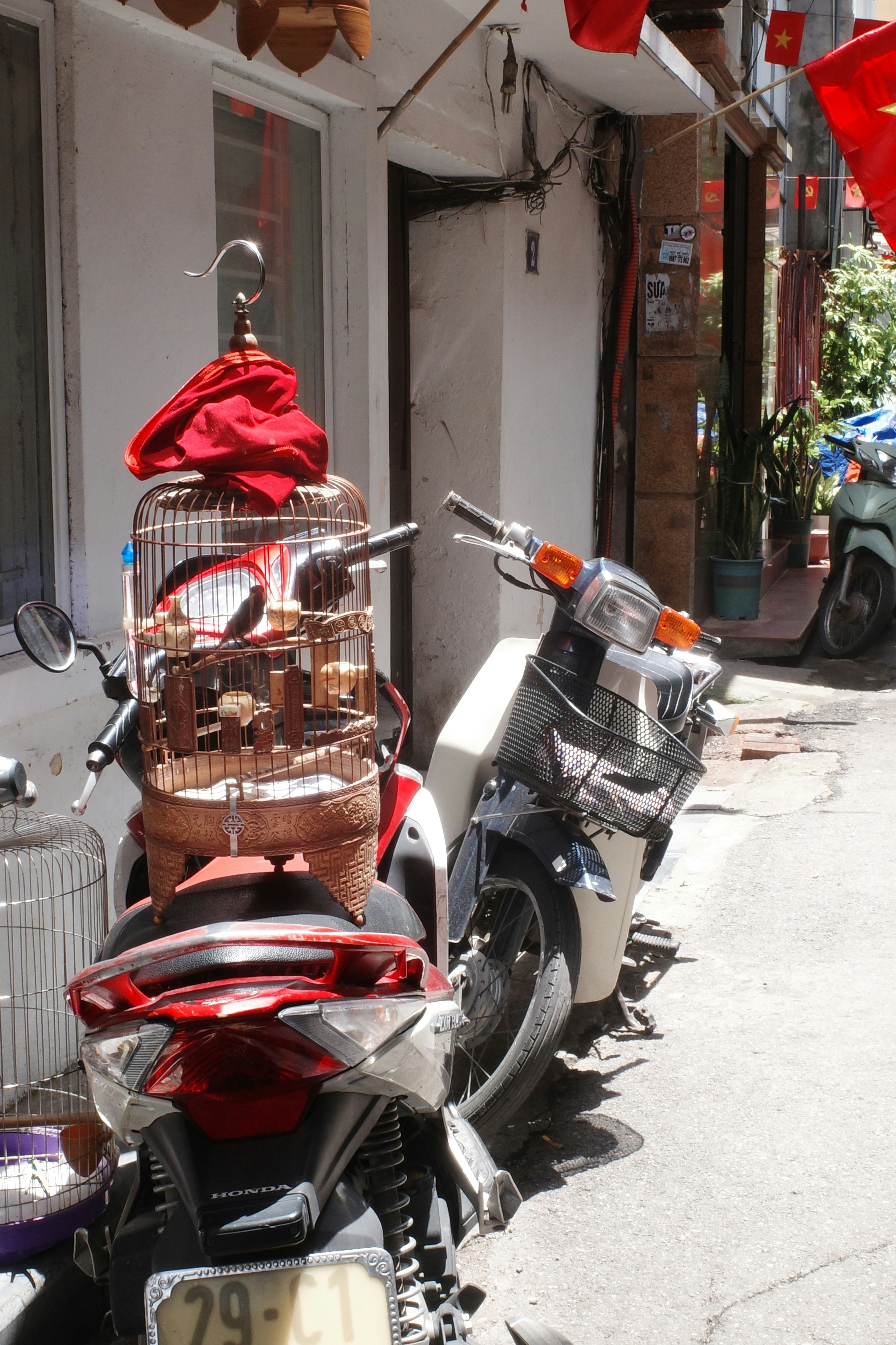 Harmony in the Alley: A Cultural Snapshot