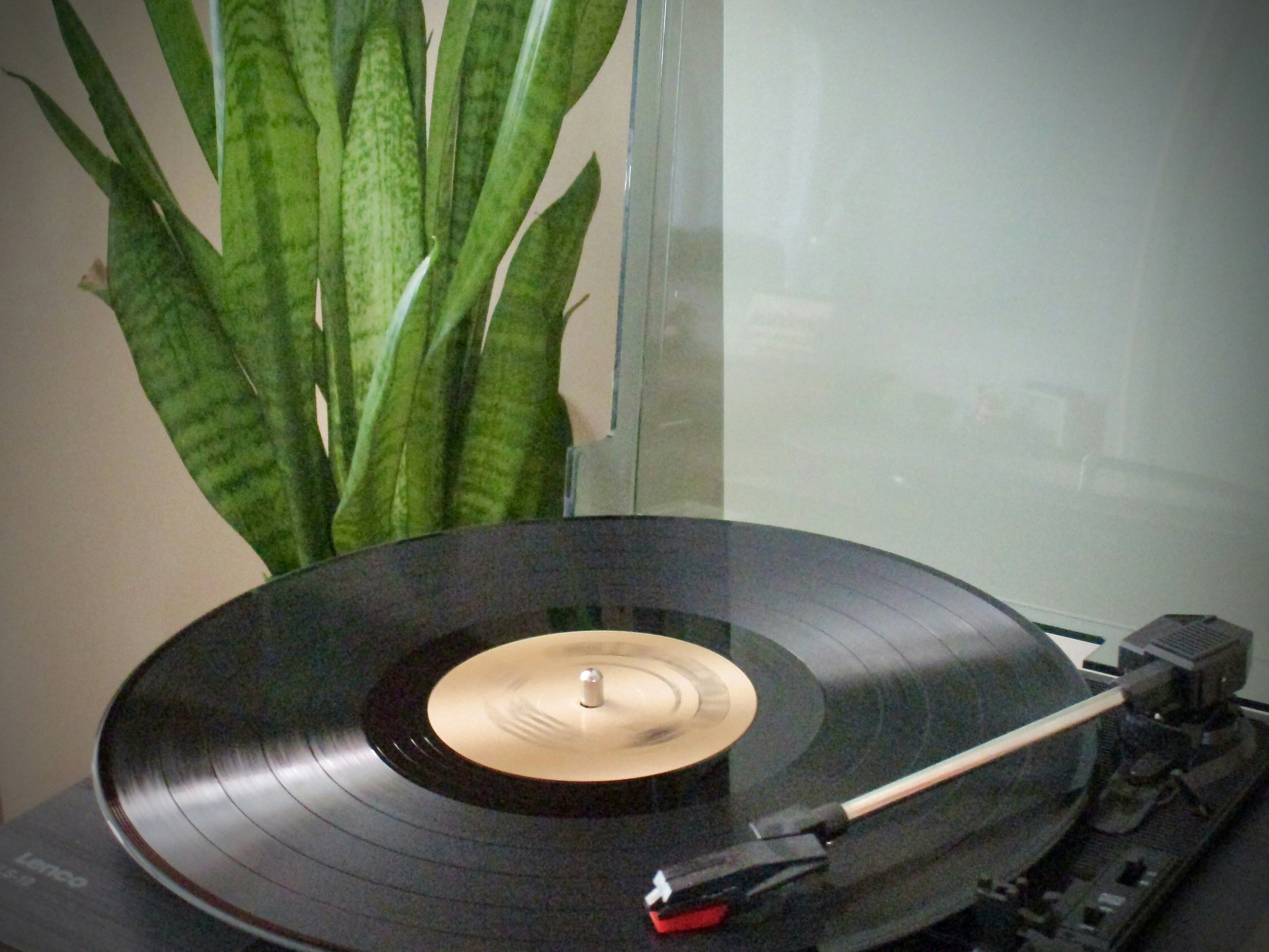 Sample photo from Canon IXUS 157