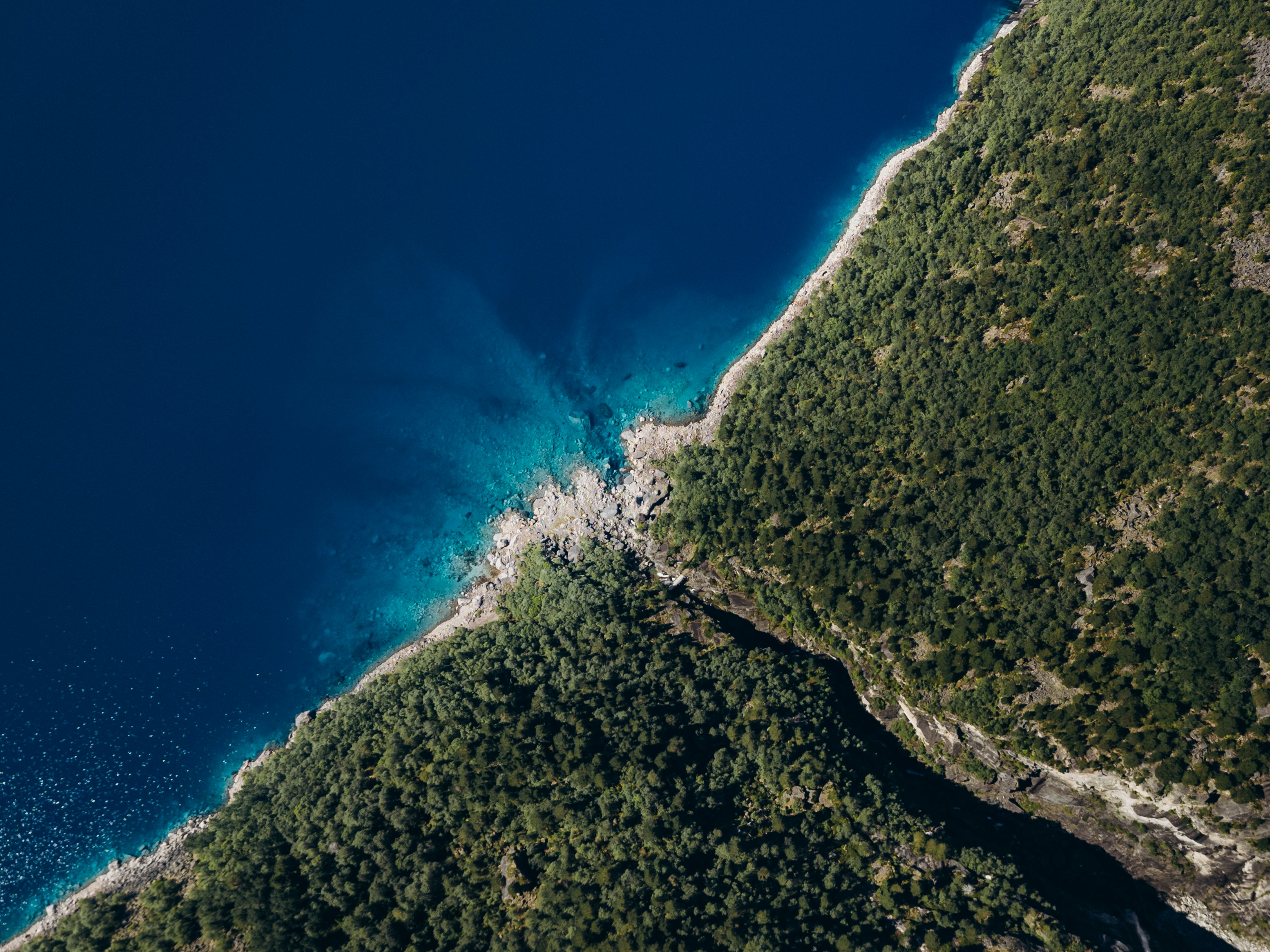 Aerial view of a lush green landscape converging with vibrant blue waters, showcasing the natural beauty of a coastal region.