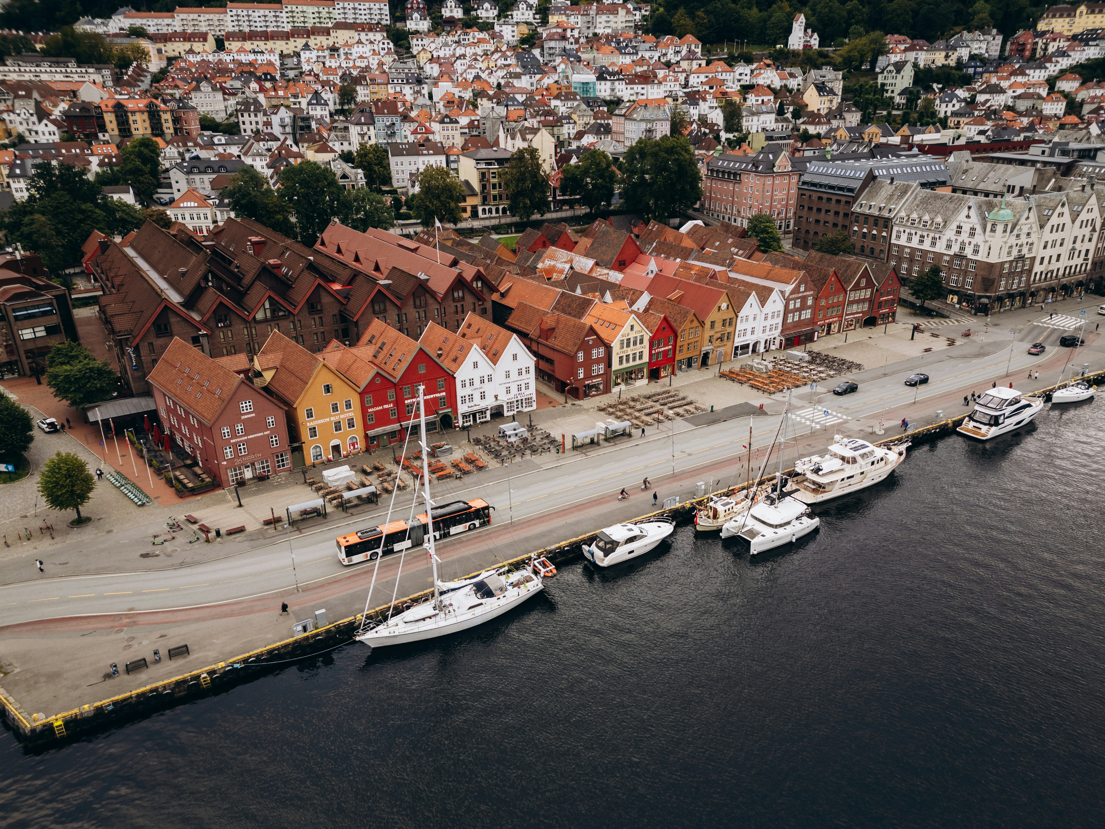Harborfront Harmony: A Tapestry of Color and Culture