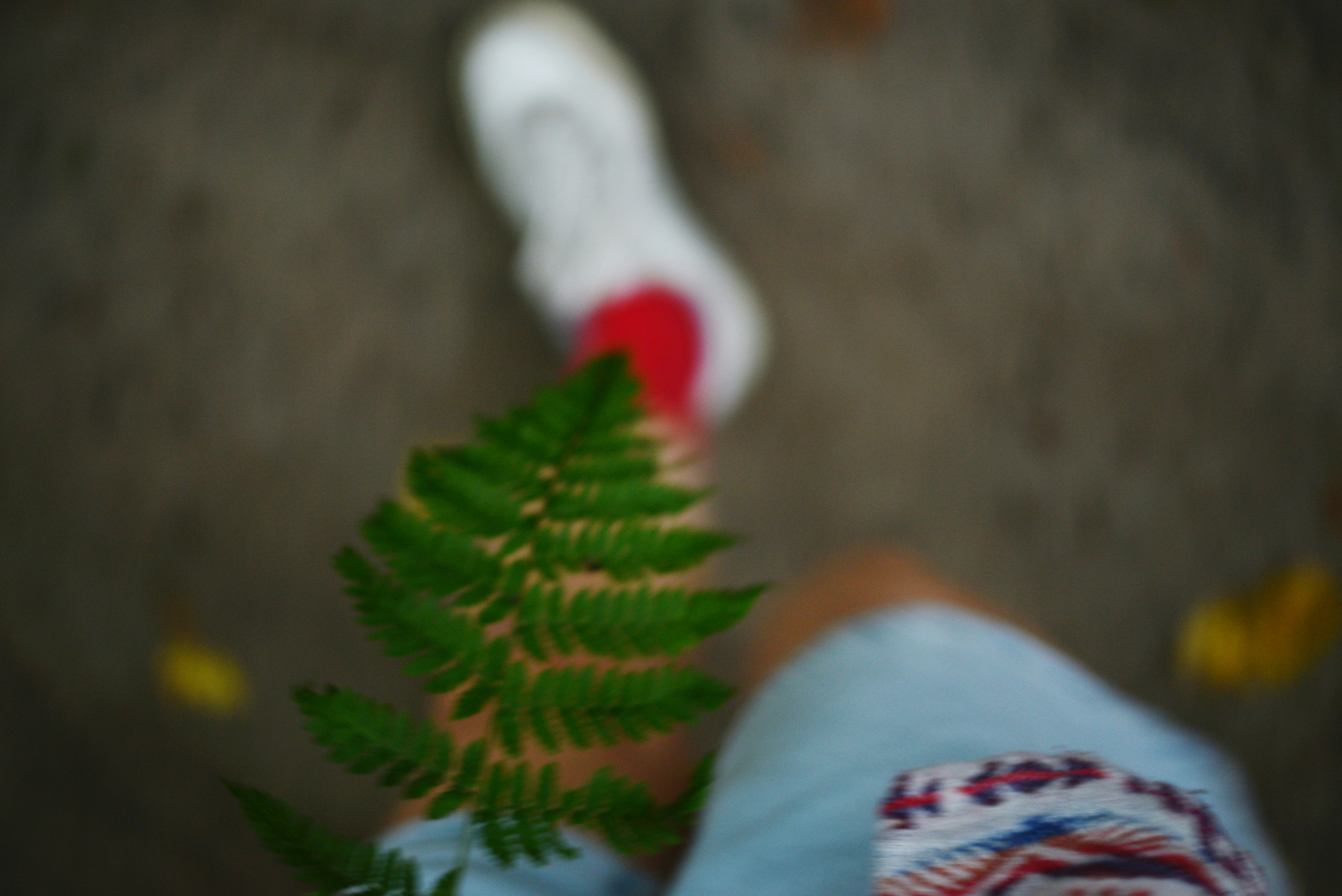 Nature's Footstep: A Journey Through Greenery