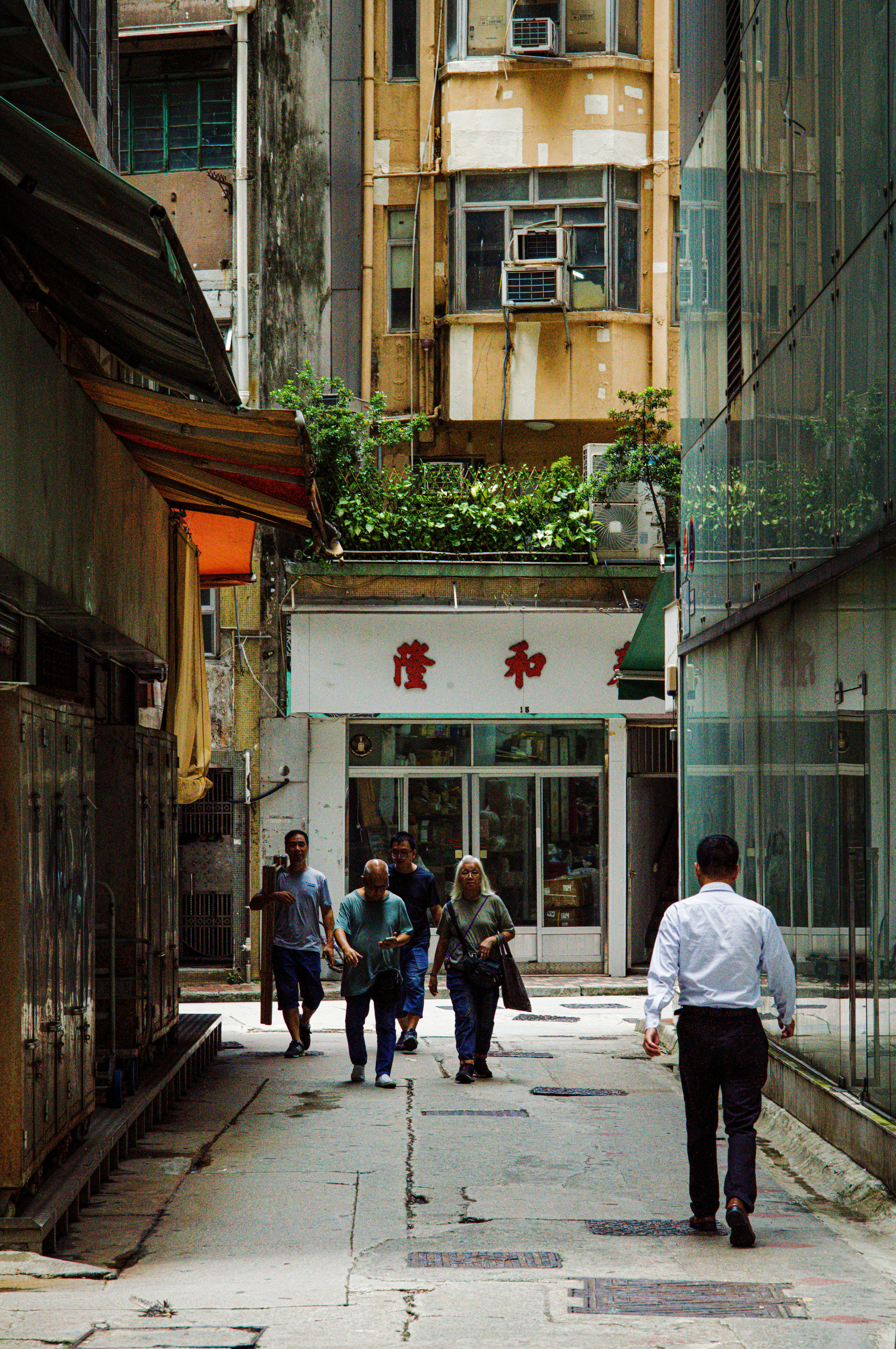Urban Echoes: A Stroll Through Time