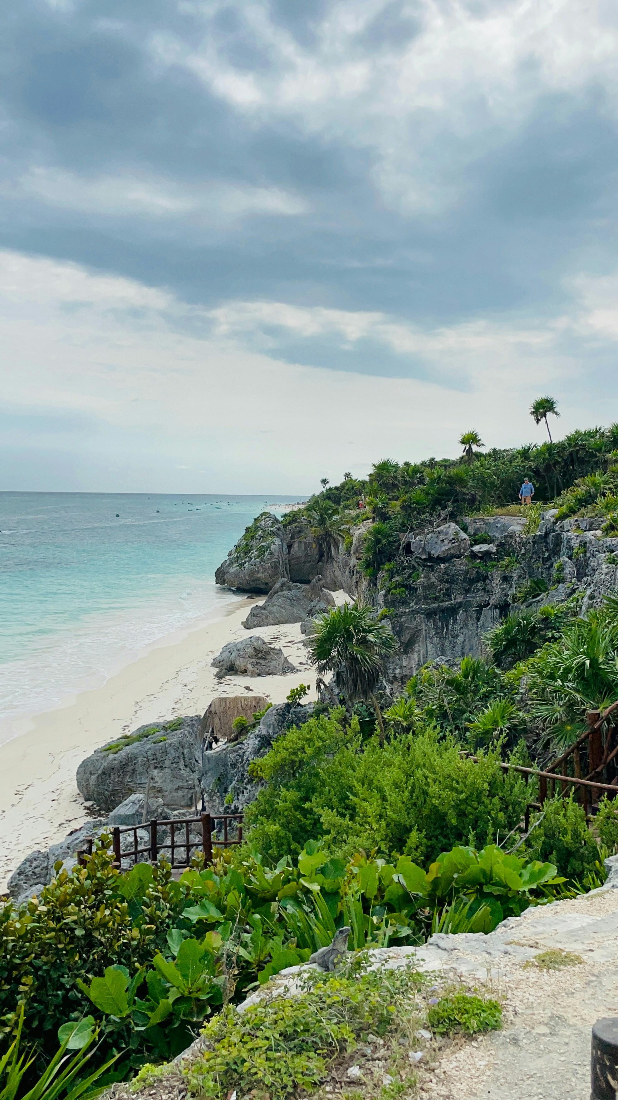 Coastal Serenity: A Glimpse of Tulum's Hidden Beauty