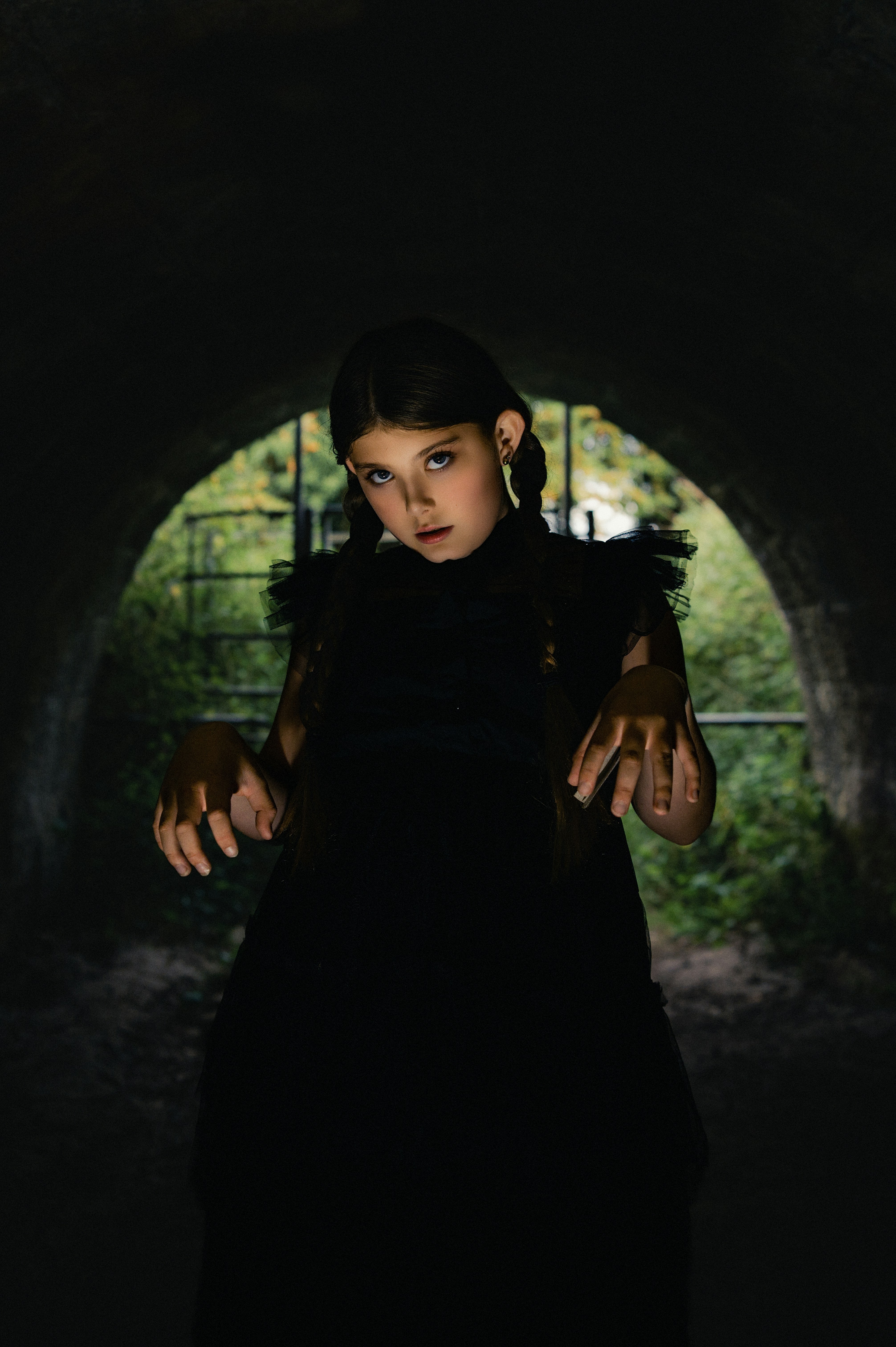 Whispers of the Enchanted Shadows