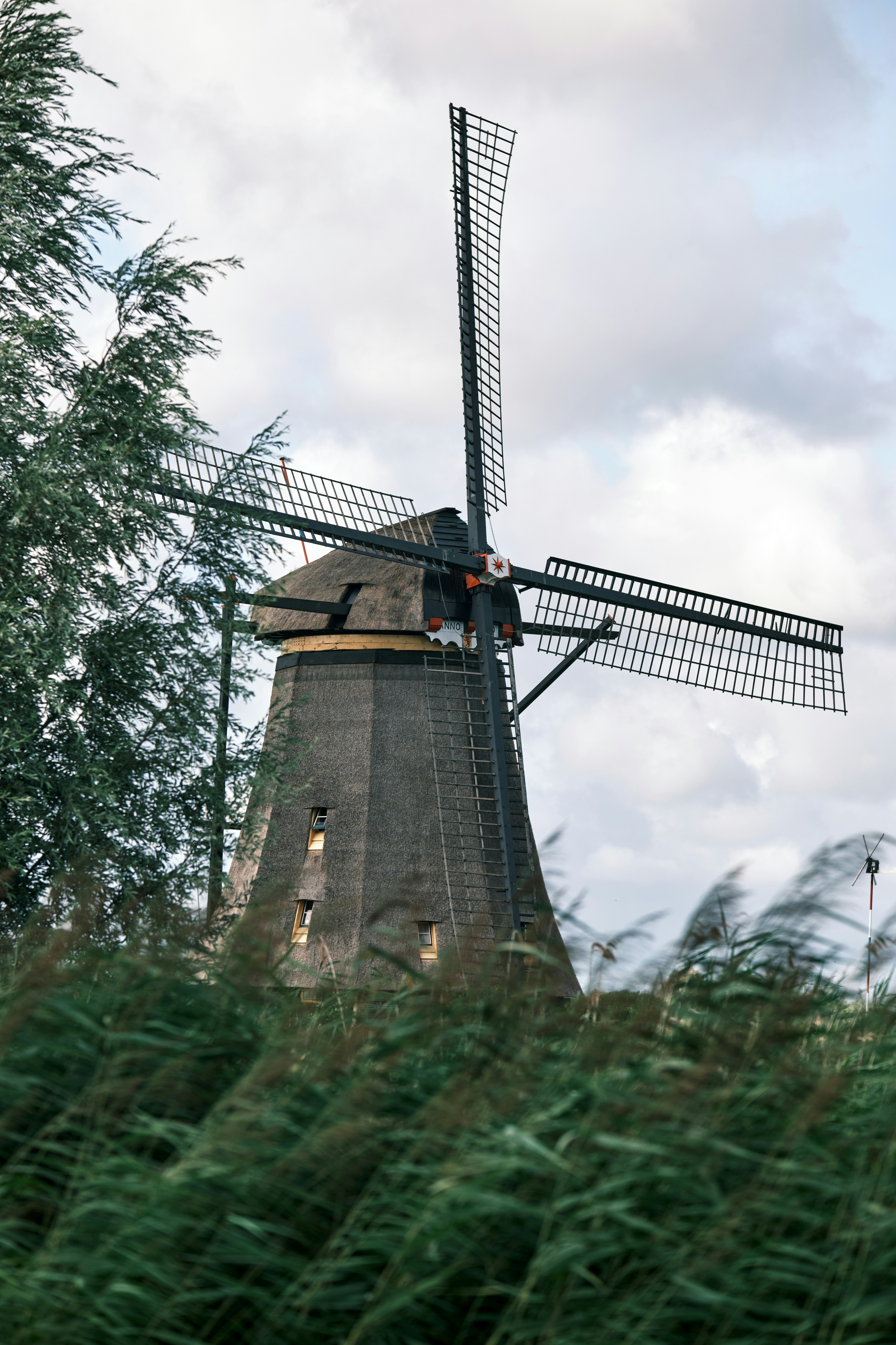 Traditional dutch windmill surrounded by reeds and trees