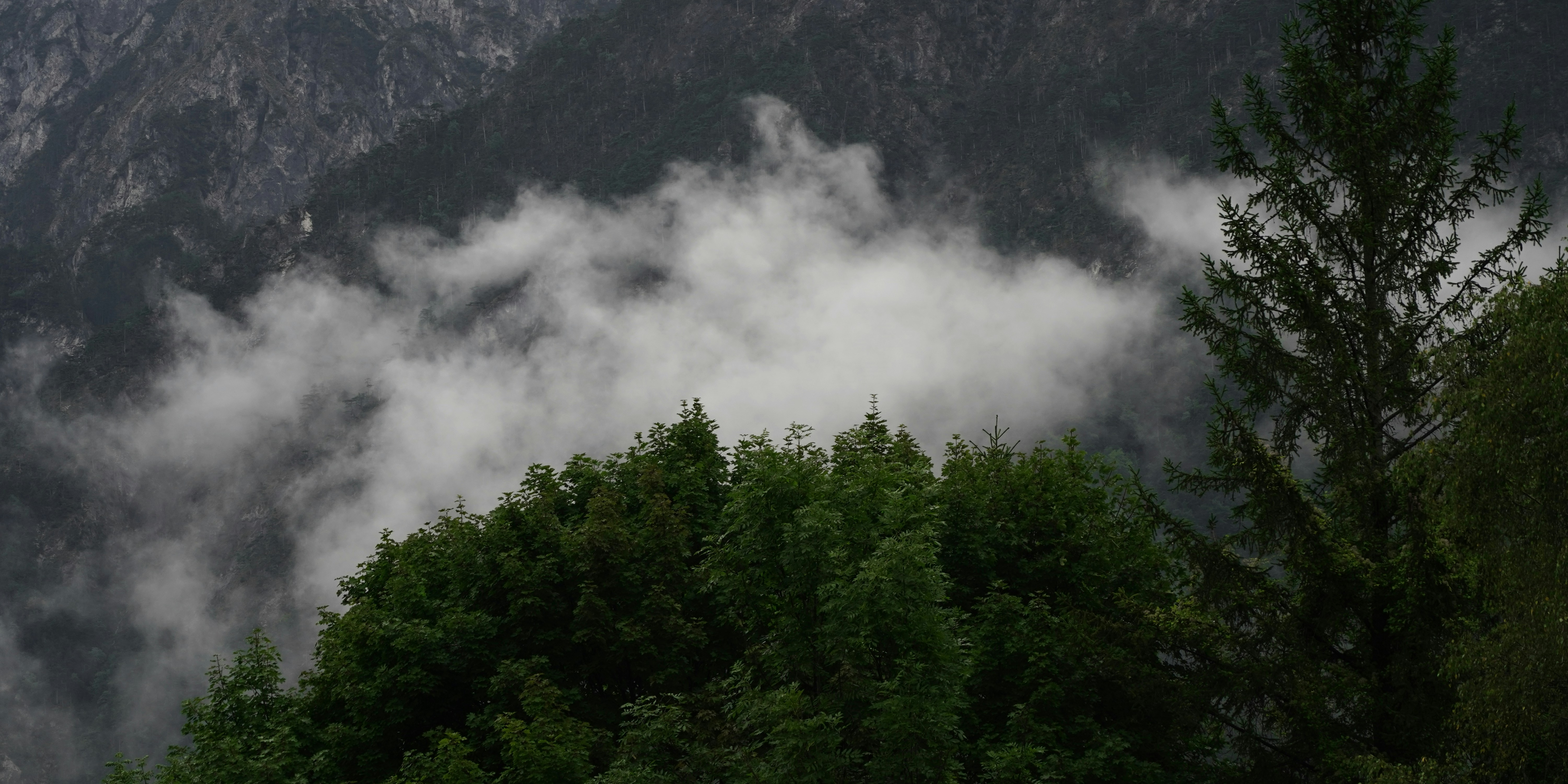Misty clouds drift through a dark, forested mountain landscape.