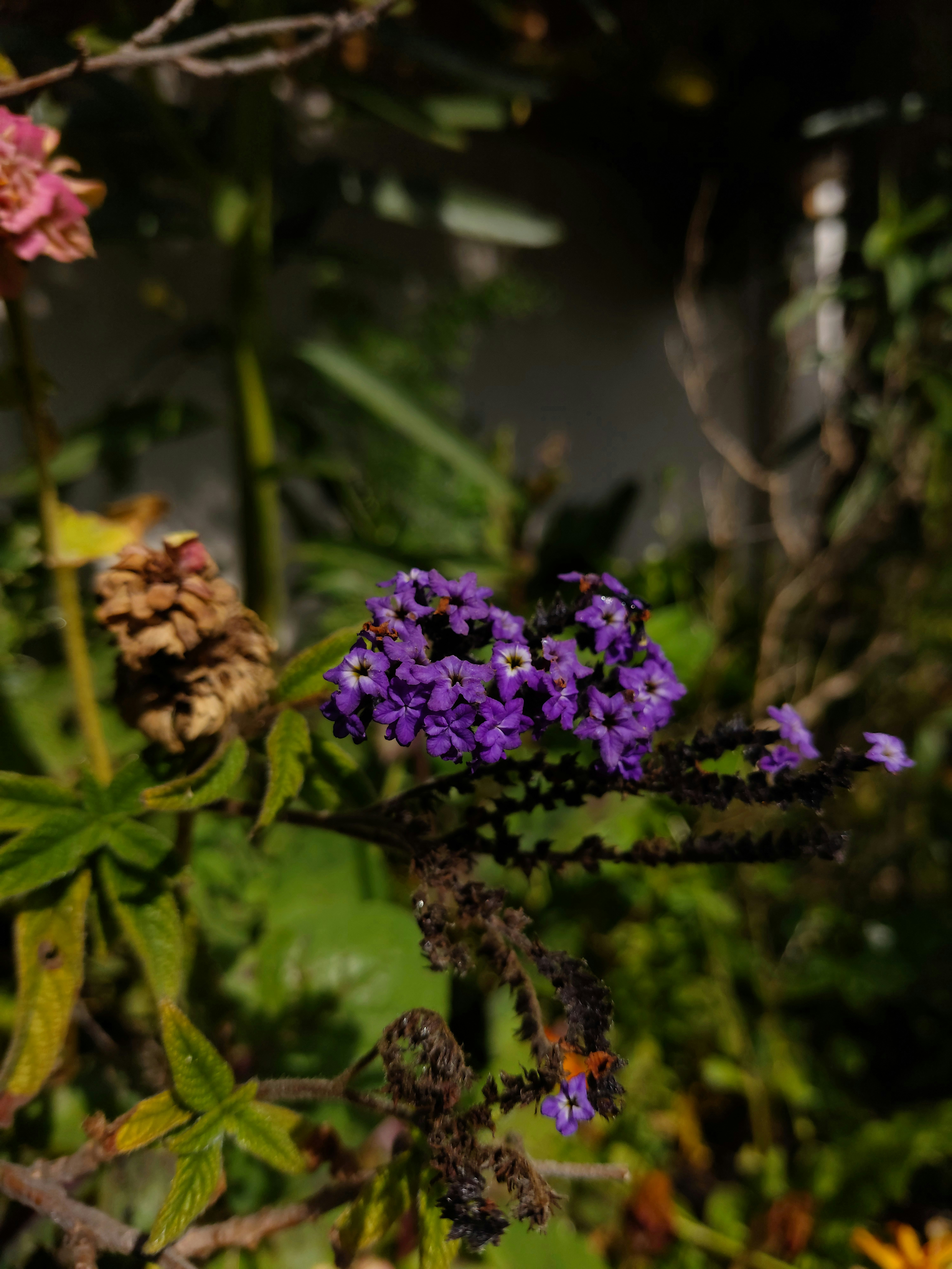 Lisa Victor (@lisavictor) | Comunidade de fotos da Unsplash