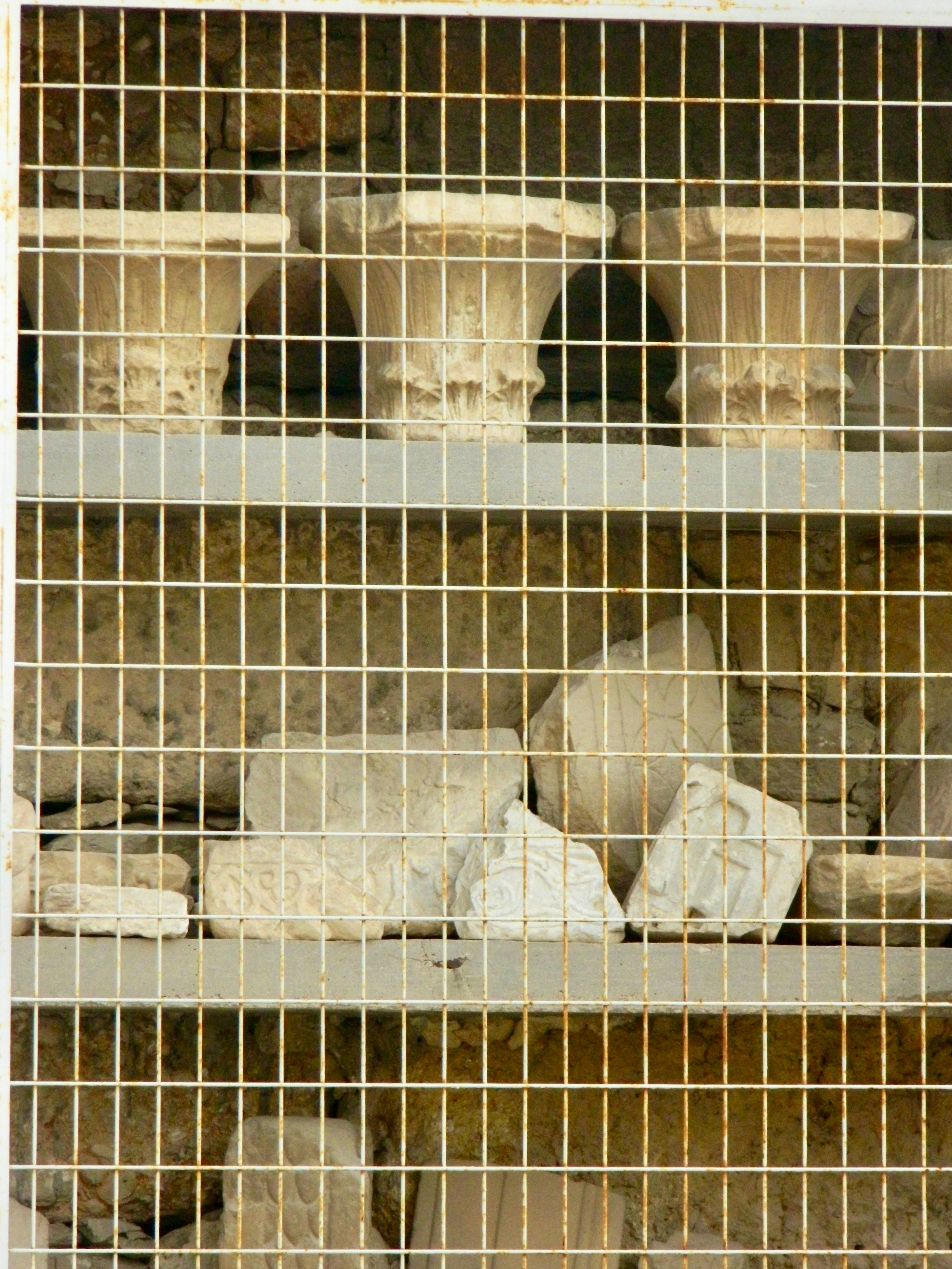 Echoes of Antiquity: A Glimpse into Ancient Artifacts
