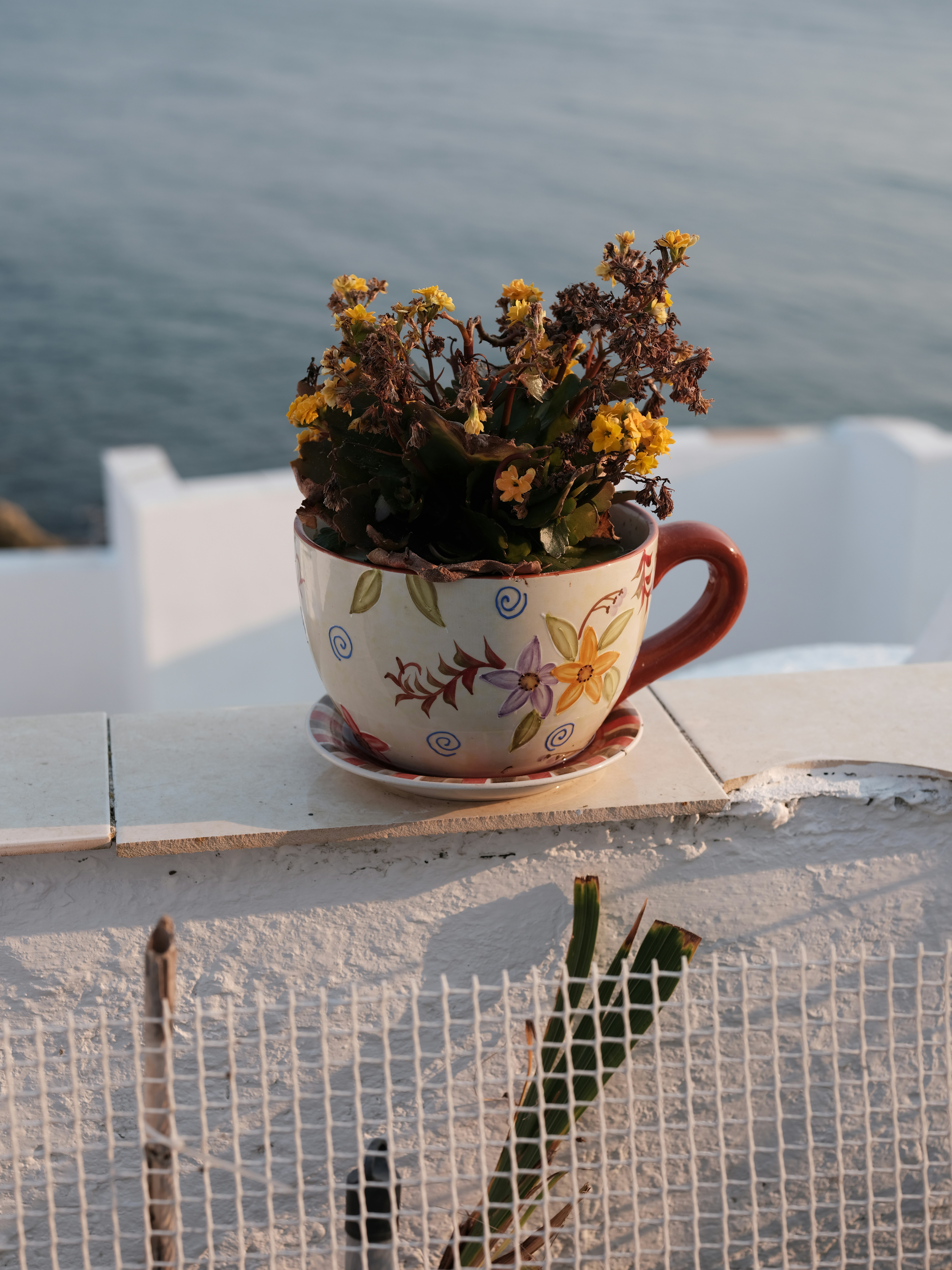 Ceramic Cup Guardian: Yellow Flowers On a Sea-Front Terrace