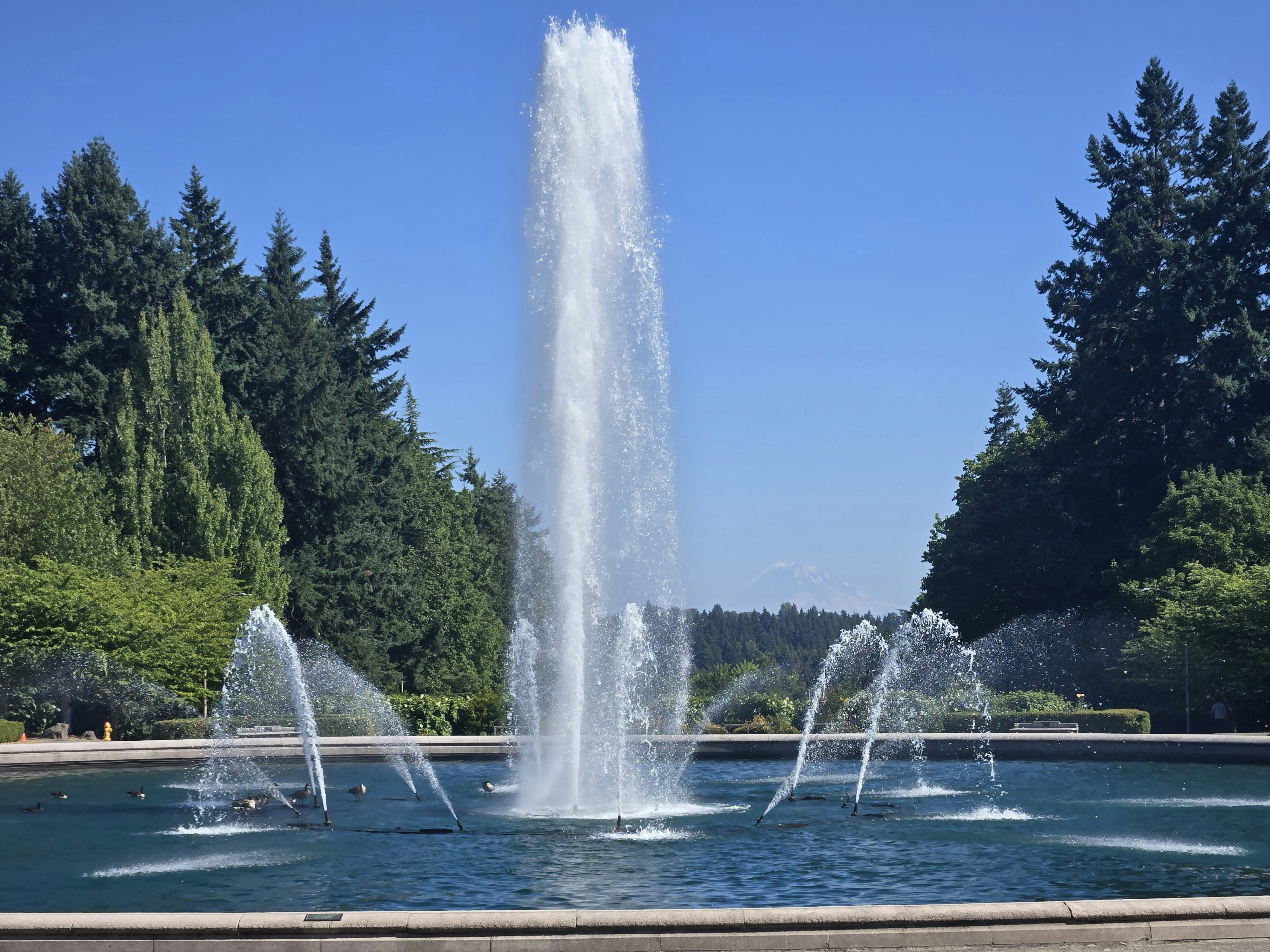 The Serene Dance of Water