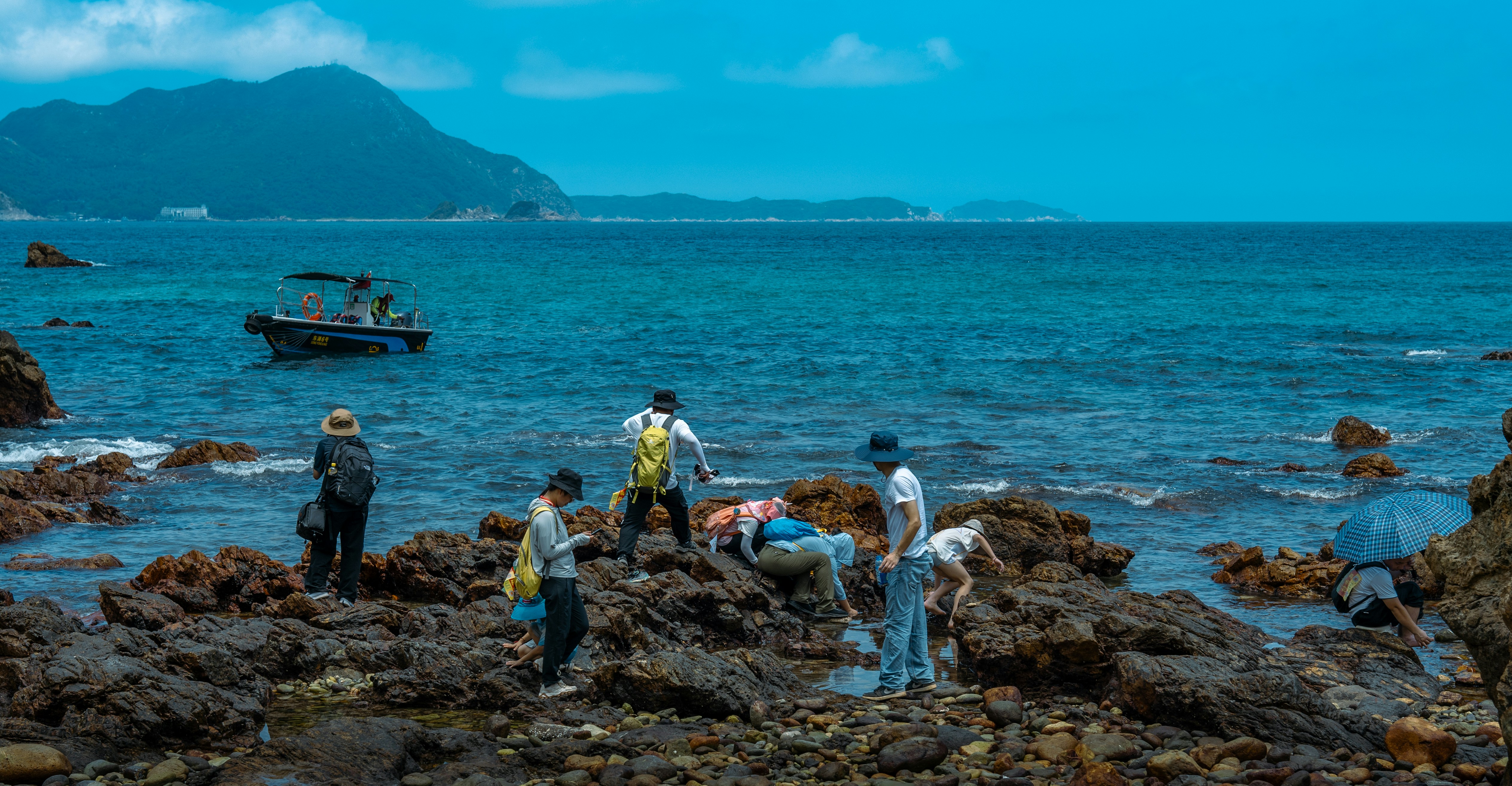 Tidepool Explorers: A Day at the Shore