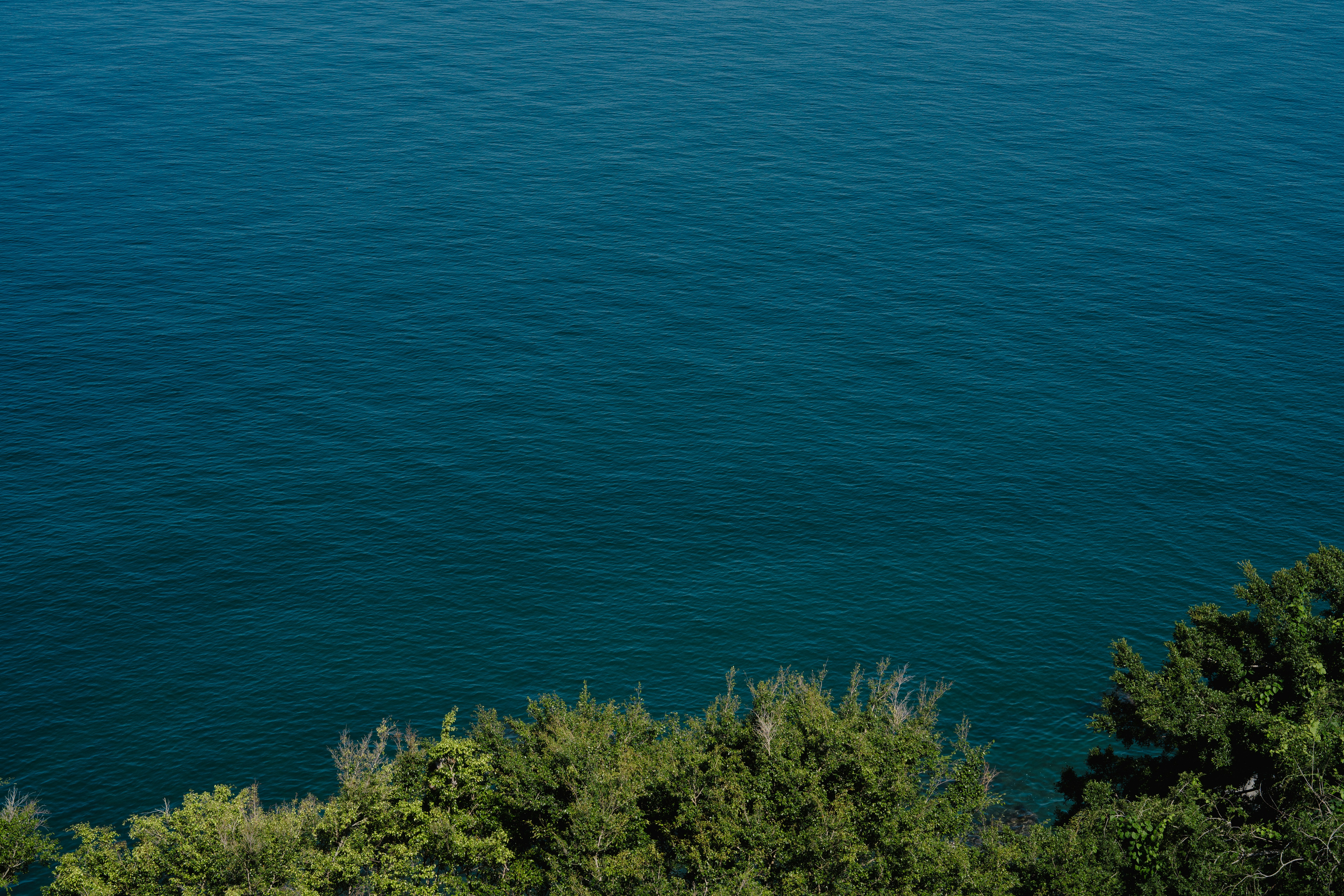 tree by the sea | Deep blue ocean water with green trees below