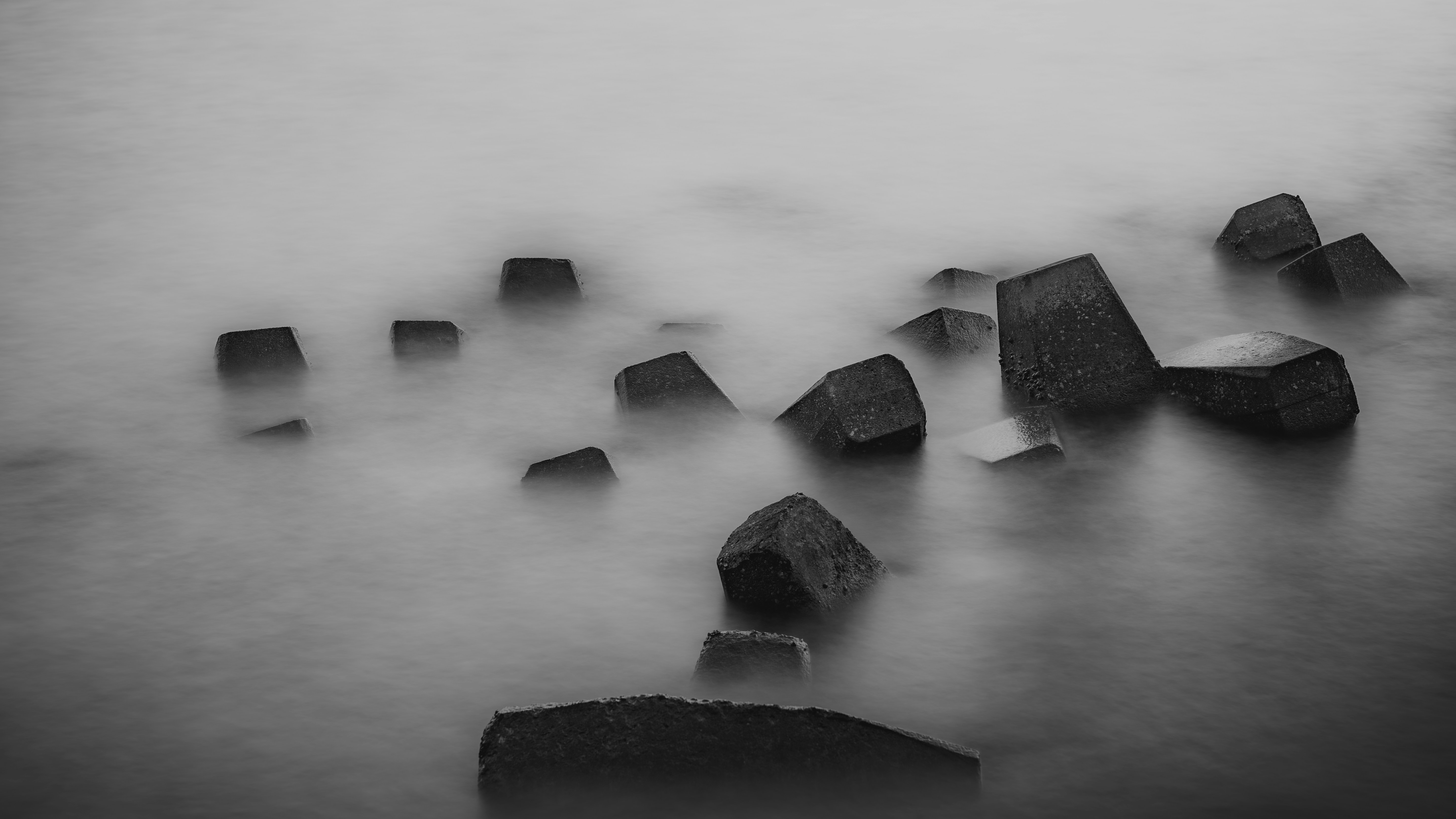 tree by the sea | Geometric rocks emerging from misty water