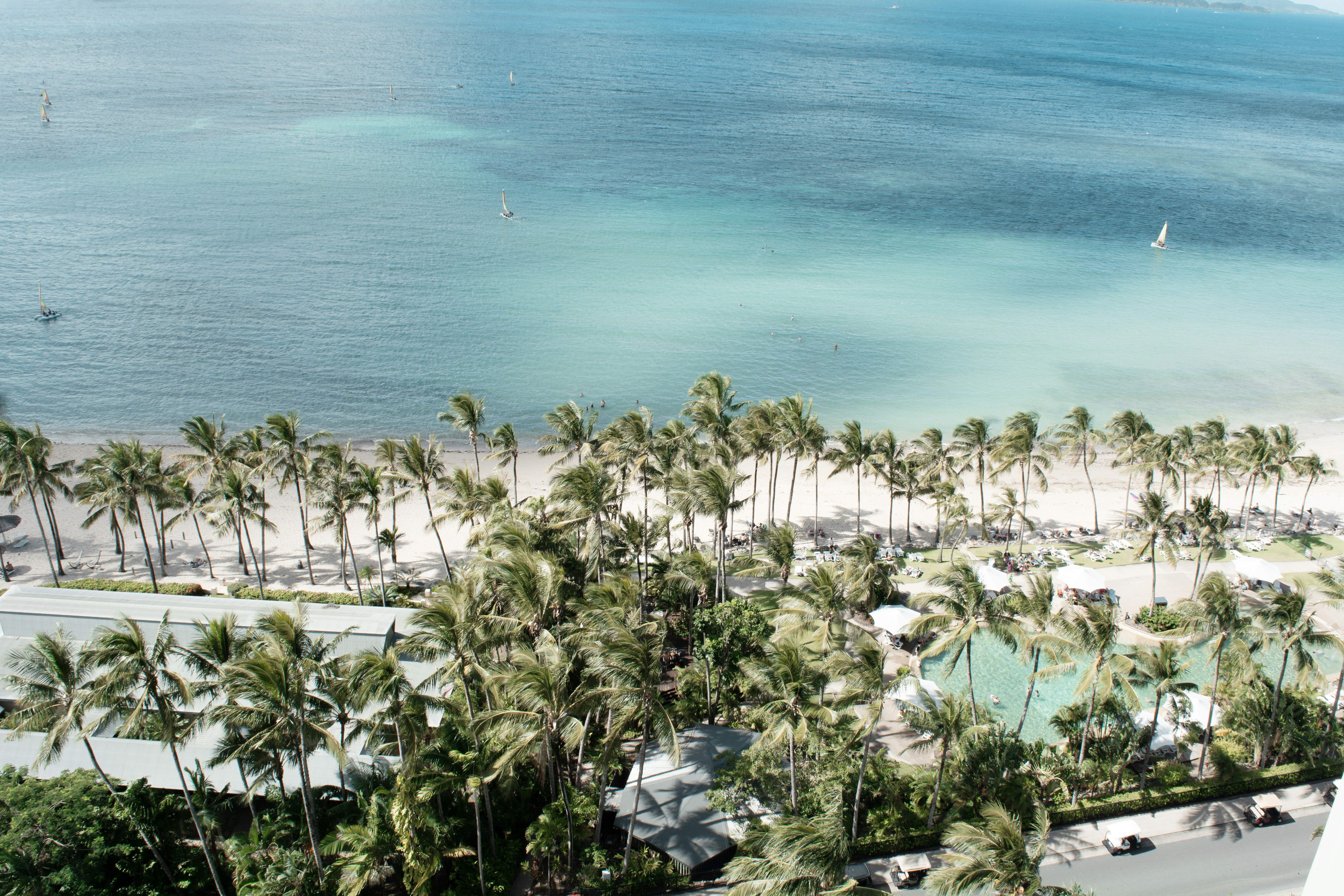 Hamilton Island Whitsundays, Queensland, Australia | Palm trees line a tropical beach by the ocean.