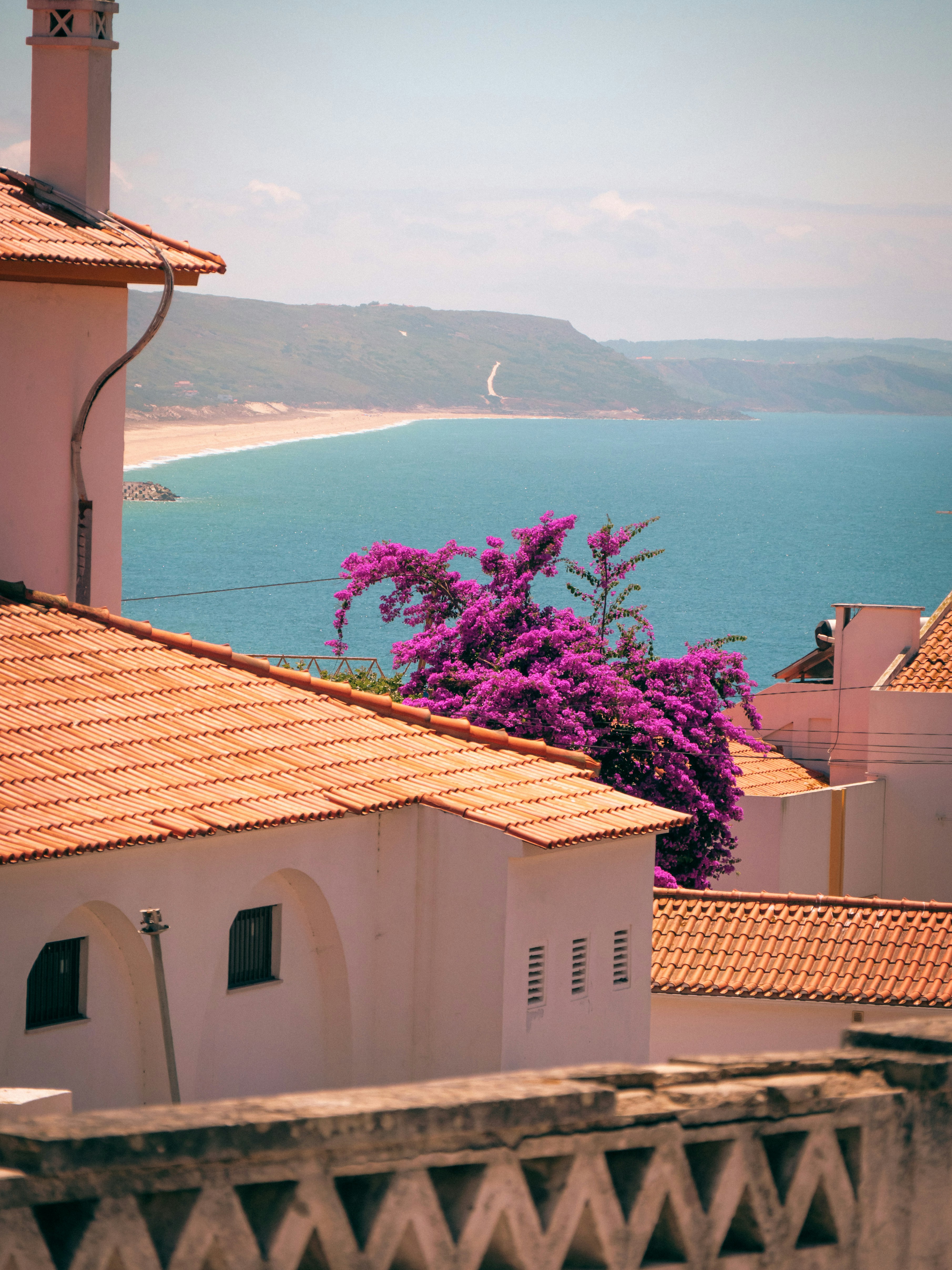 A peaceful view from Nazaré, Portugal — terracotta rooftops, a burst of bougainvillea, and the deep blue Atlantic stretching into the horizon. A classic Portuguese coastal moment. | Rooftops and purple flowers overlook a coastal town and ocean.
