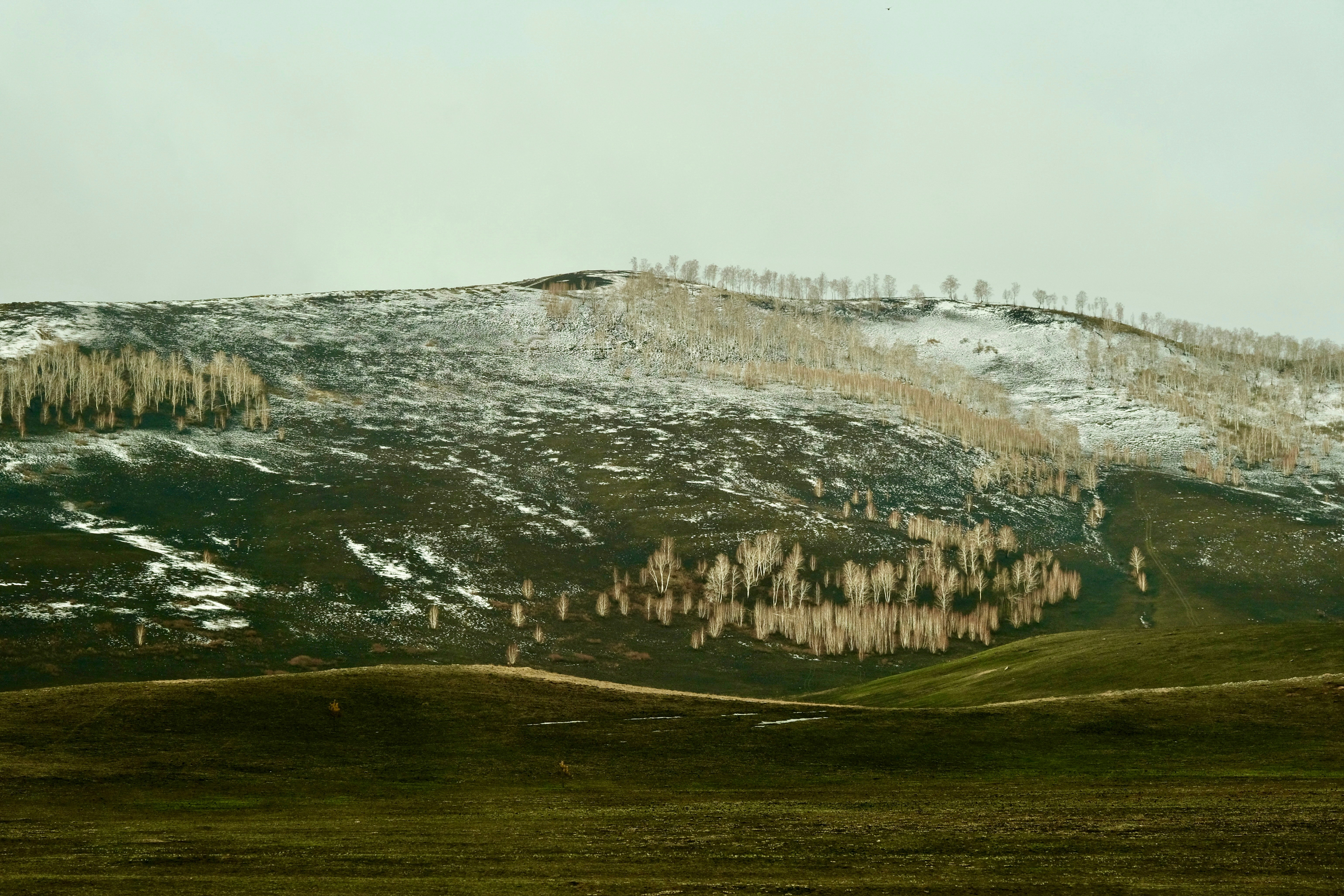 The view of snow mountains in Khakassia, Siberia. | Snow patches on a green grassy hill