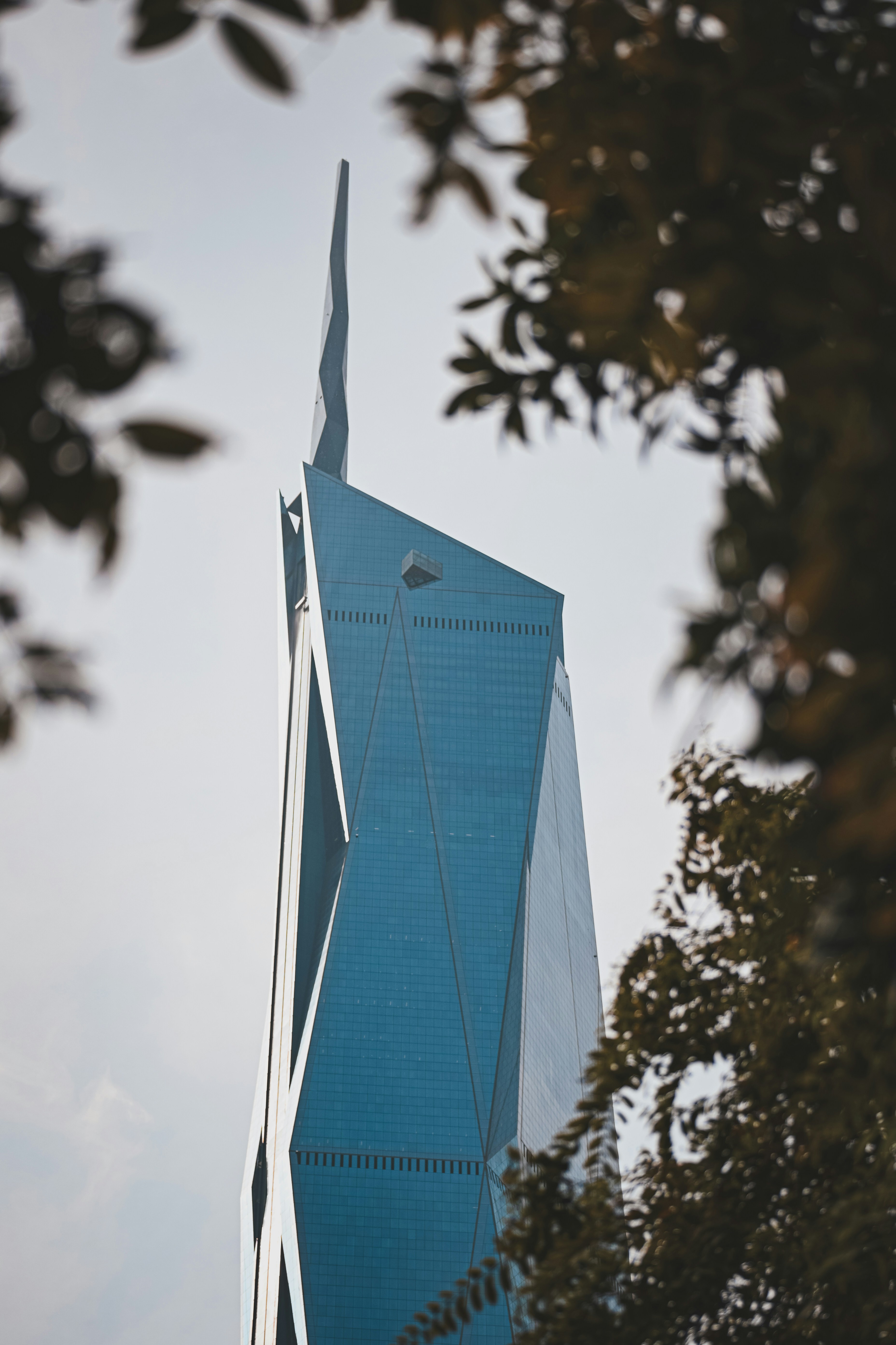 Architectural Elegance Reaching for the Sky