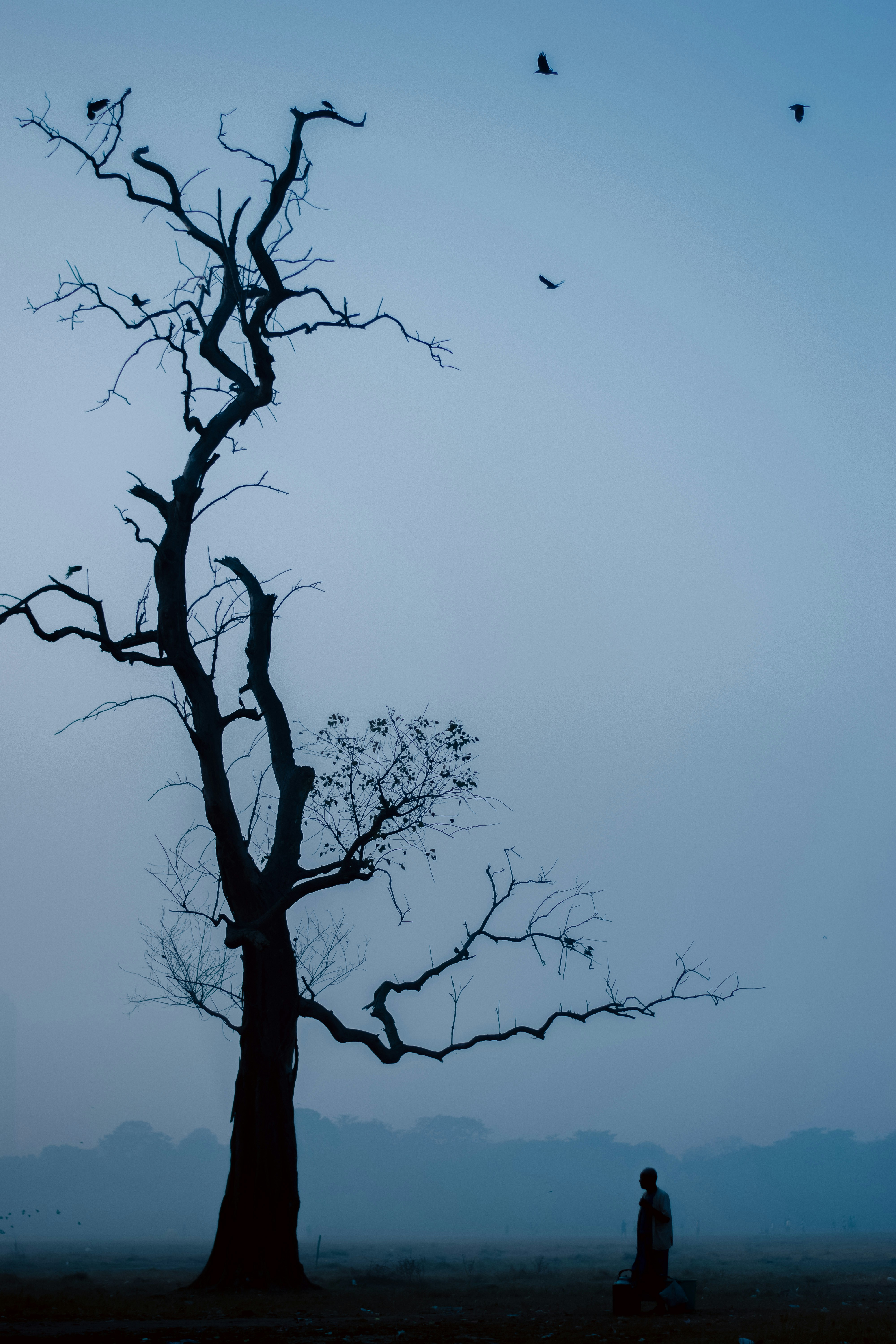 A striking silhouette of a barren tree stands alone in a misty blue field, its twisted branches reaching toward the sky. Birds circle above while a solitary person appears in the background, blending human presence with profound loneliness and the quiet power of nature. This minimalist scene delivers a dramatic mood, perfect for atmospheric backgrounds, meditation, and wallpaper enthusiasts seeking moody solitude and cinematic inspiration. | Bare tree silhouetted against a misty blue sky with birds.