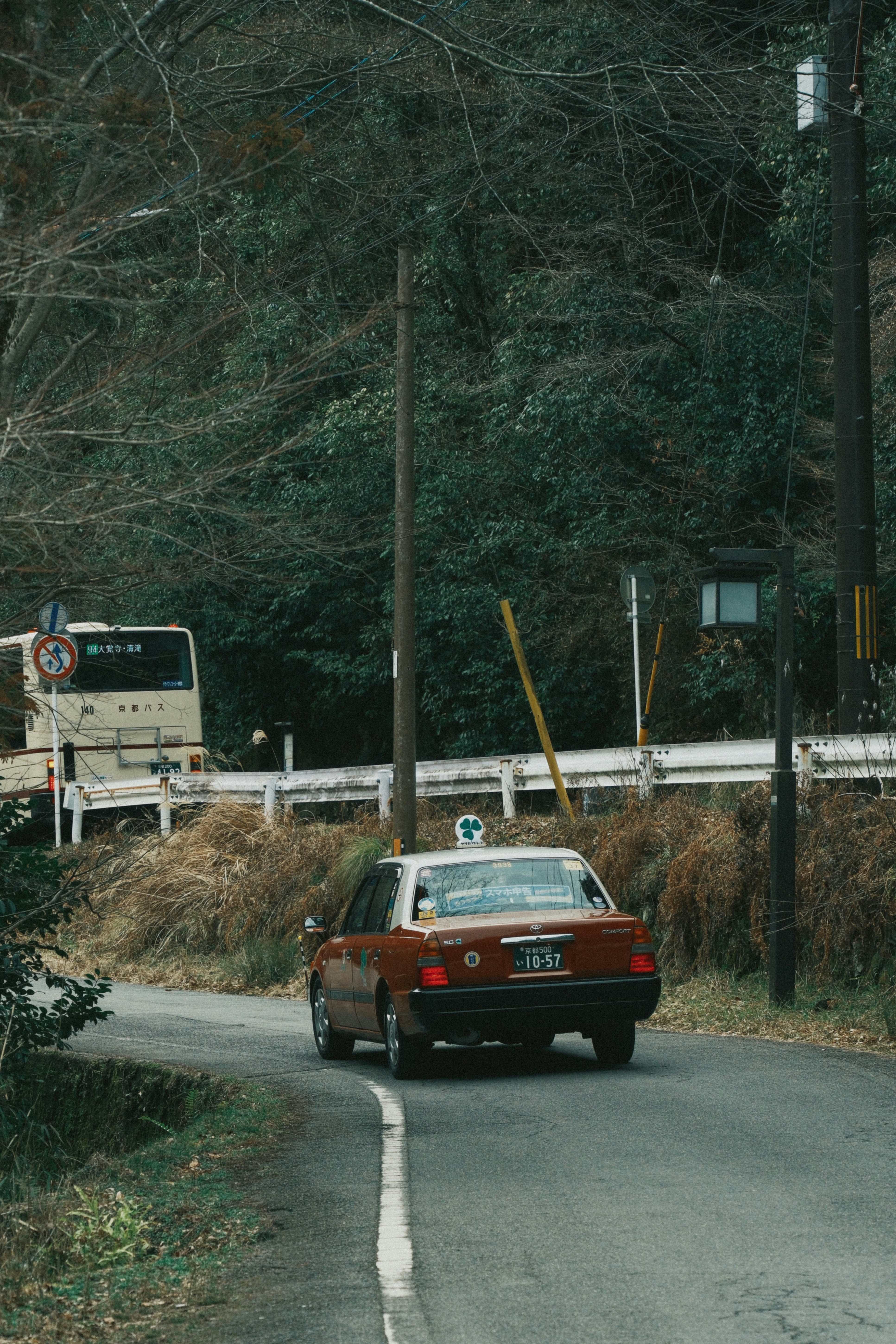 Curves of Daily Life: A Journey Through the Countryside