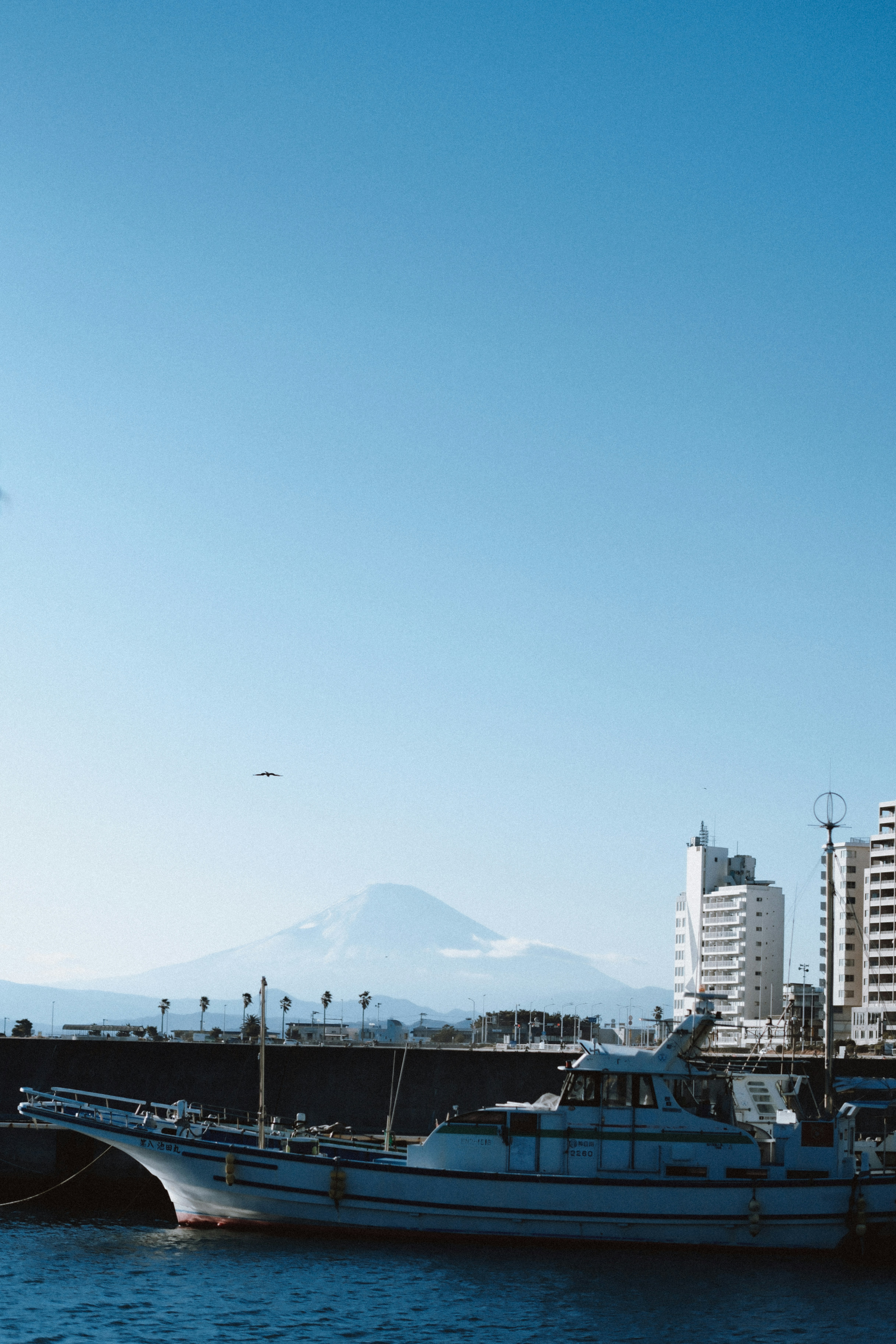 Anchored Vessel Against Fuji: A Harbor Portrait