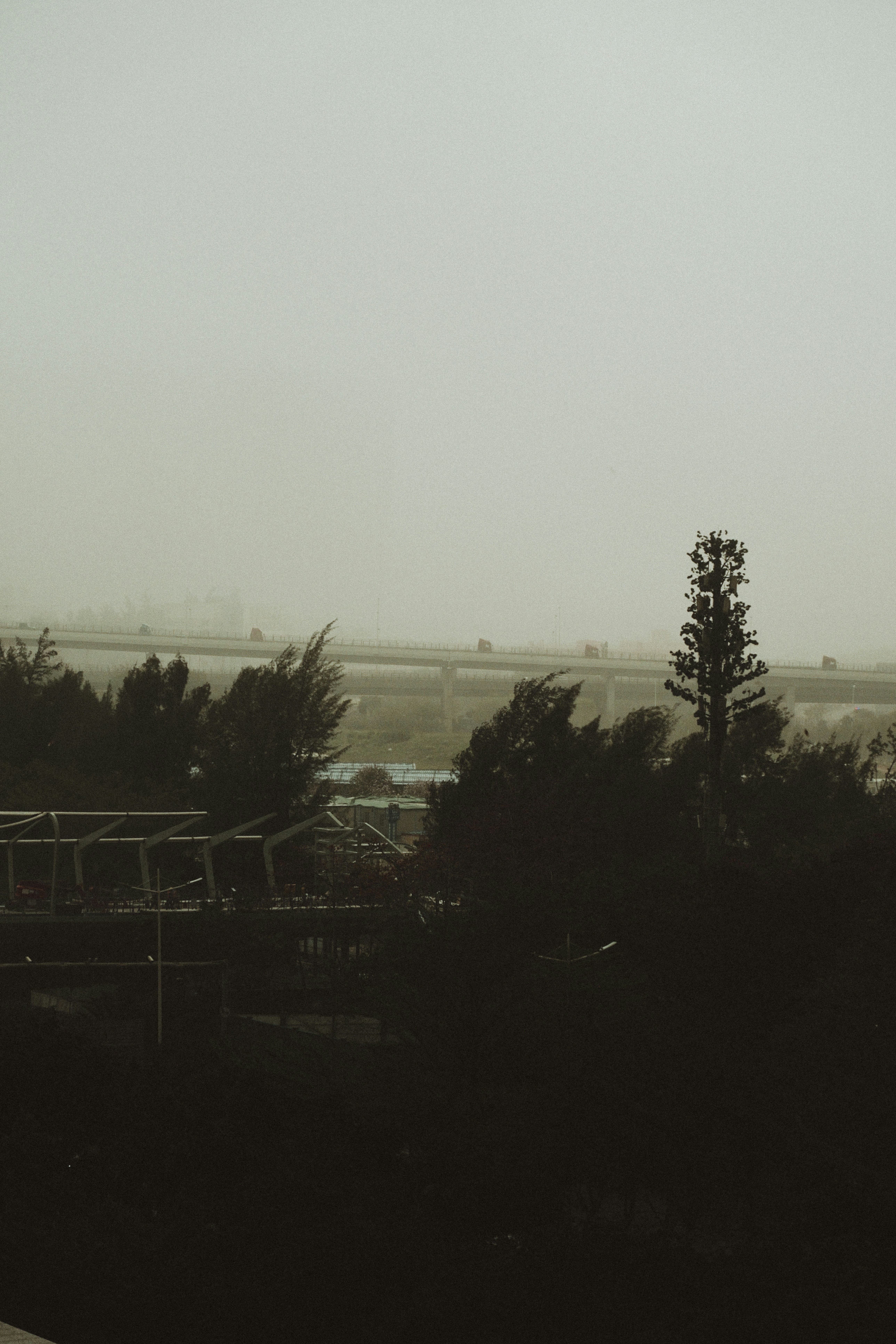 Veiled Horizons: A Journey Through the Mist