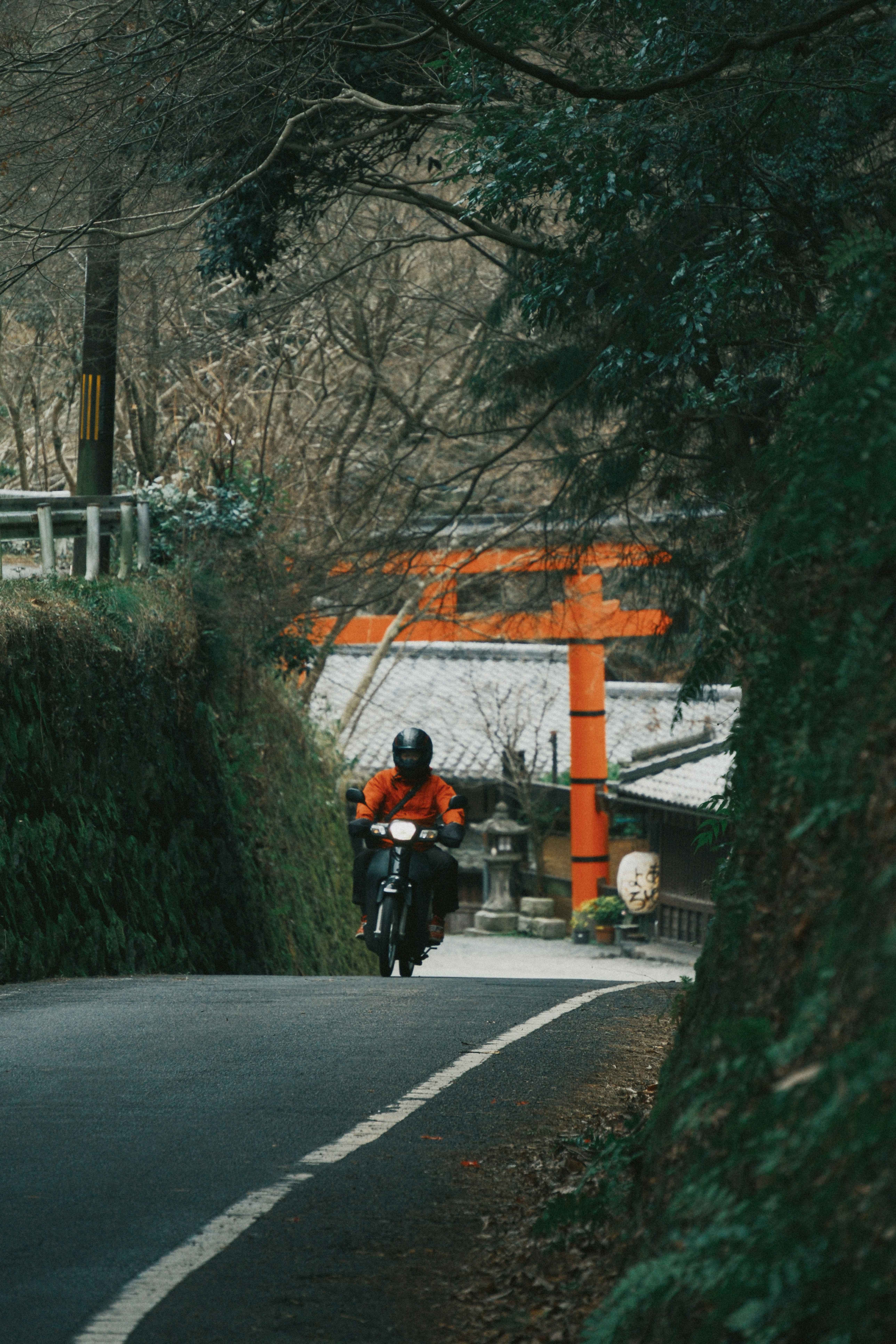 Vermilion Gate, Quiet Curve: A Solo Rider on a Forest Road