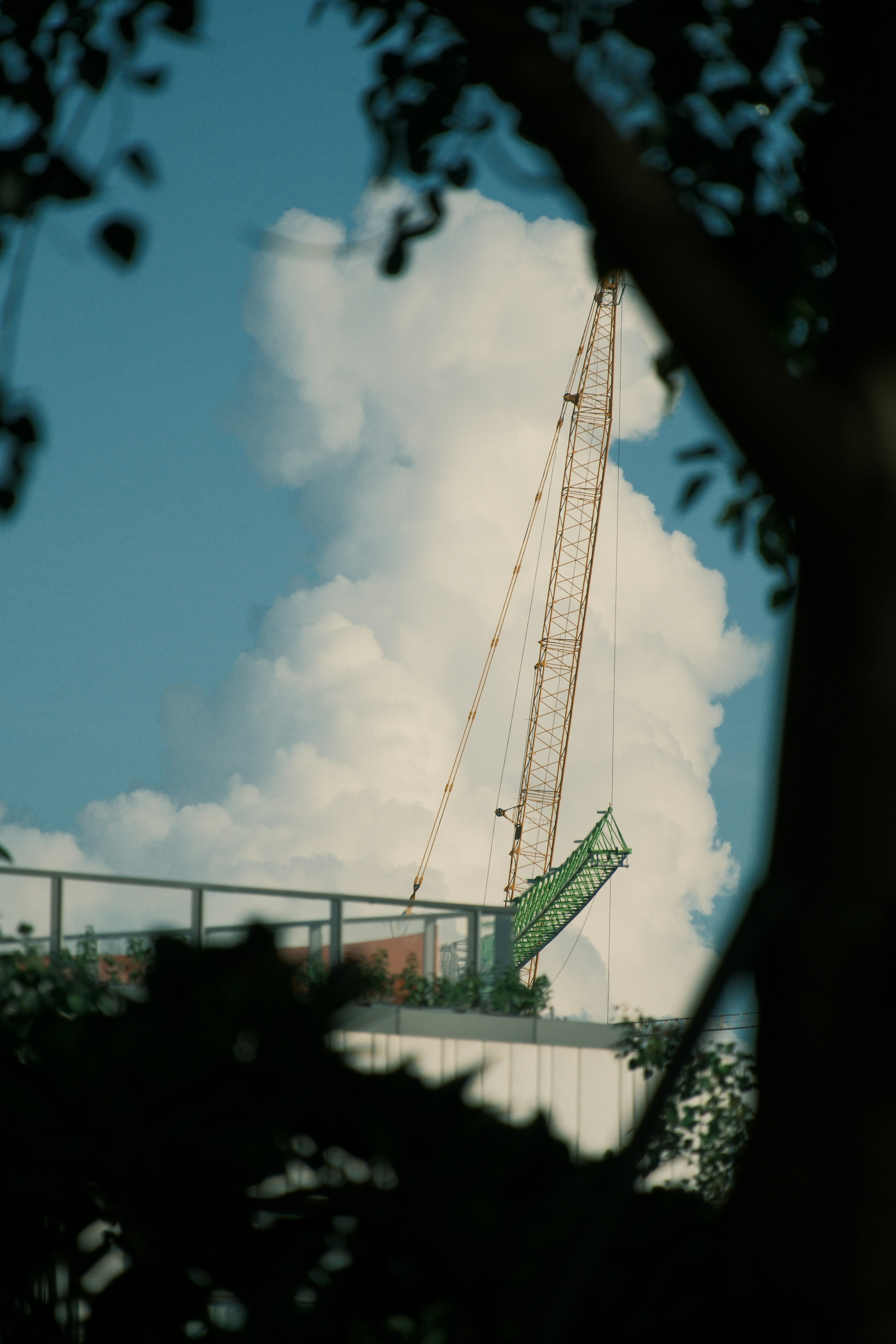 Photo by Will Xiang with Fujifilm X-T5