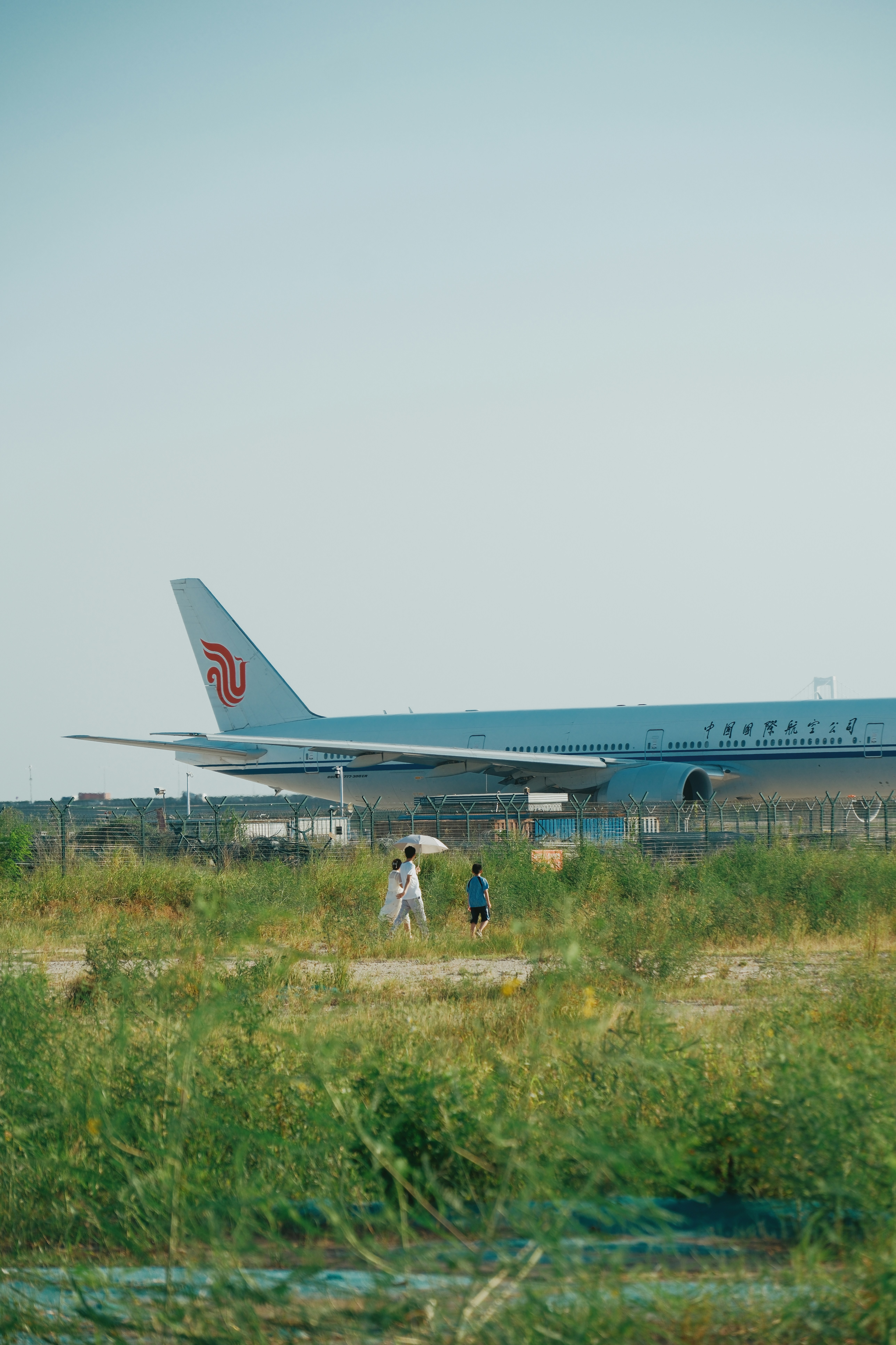 Wanderers Amidst Aviation Giants