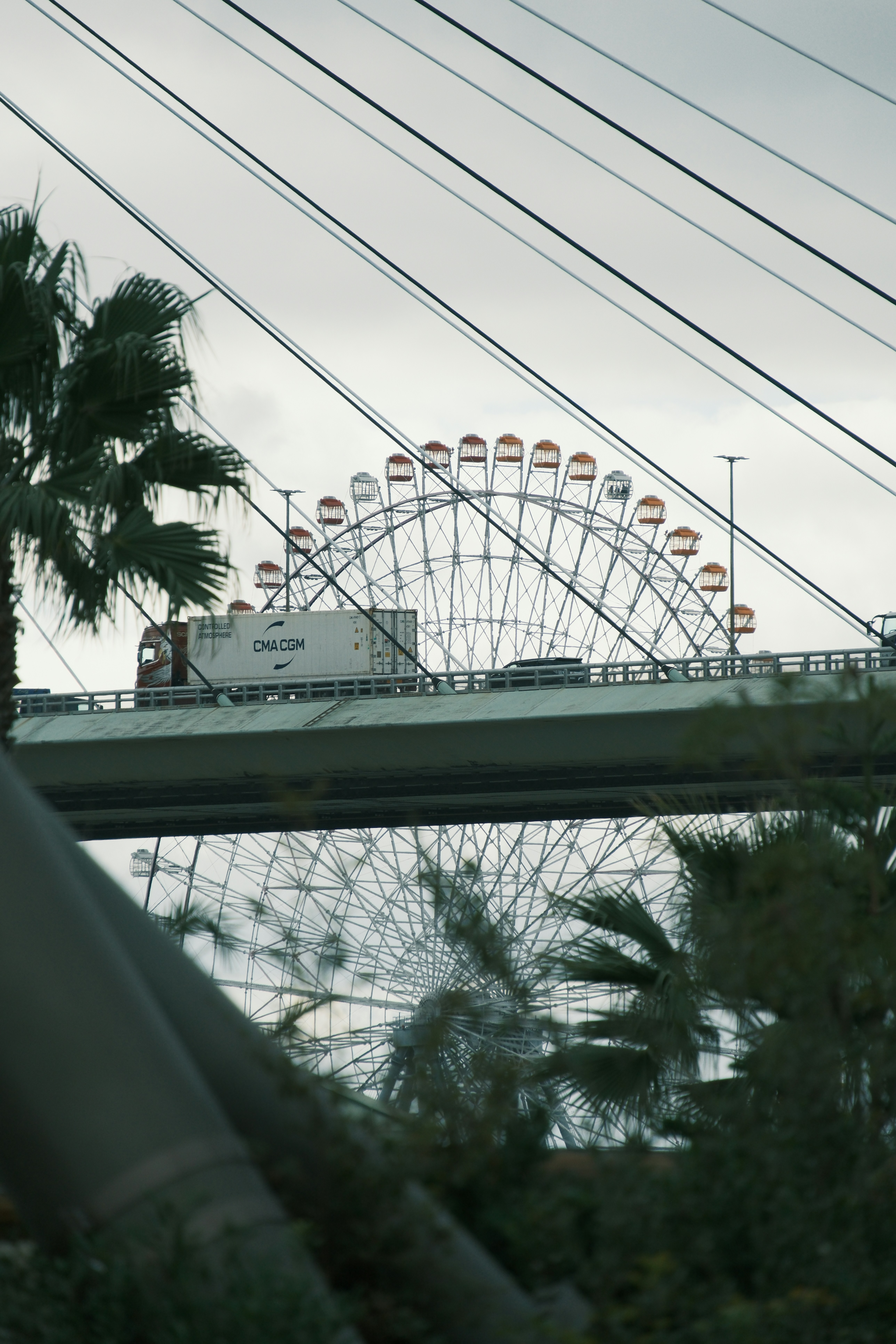 Urban Whirl: A Ferris Wheel's Silent Spin