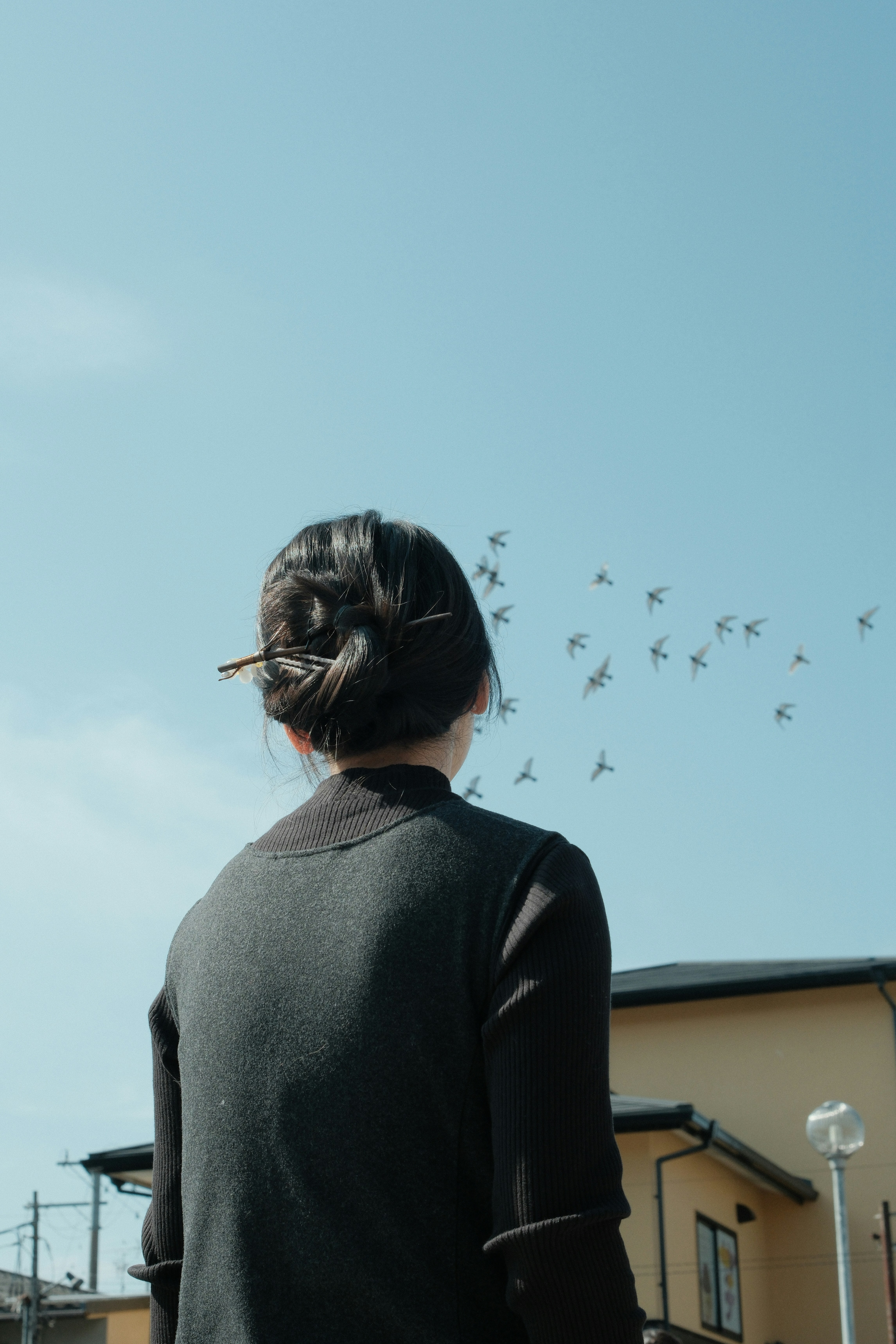Back-angled Portrait Under Vivid Sky with Flock in Motion