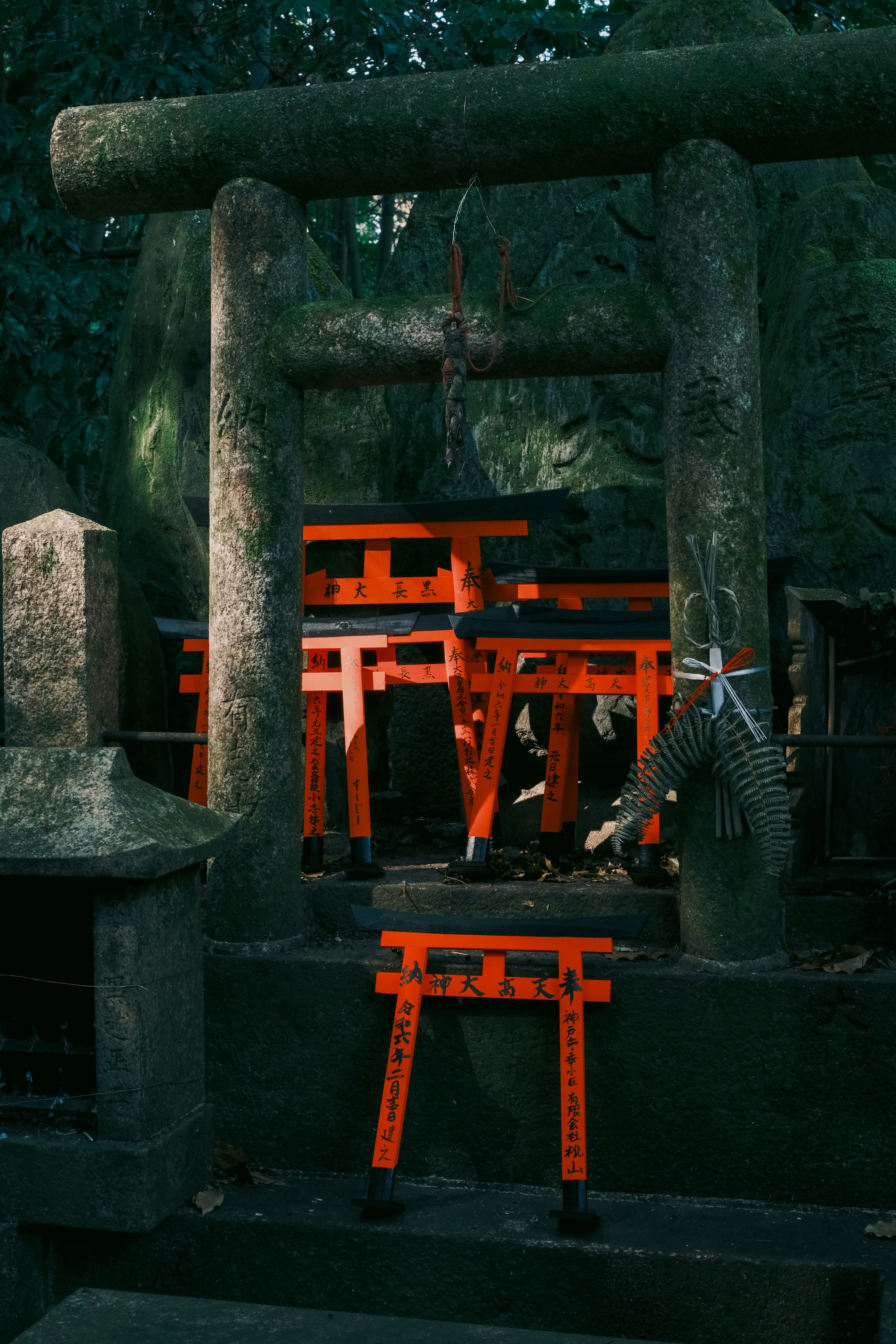 Photo by Will Xiang with Fujifilm X-T5