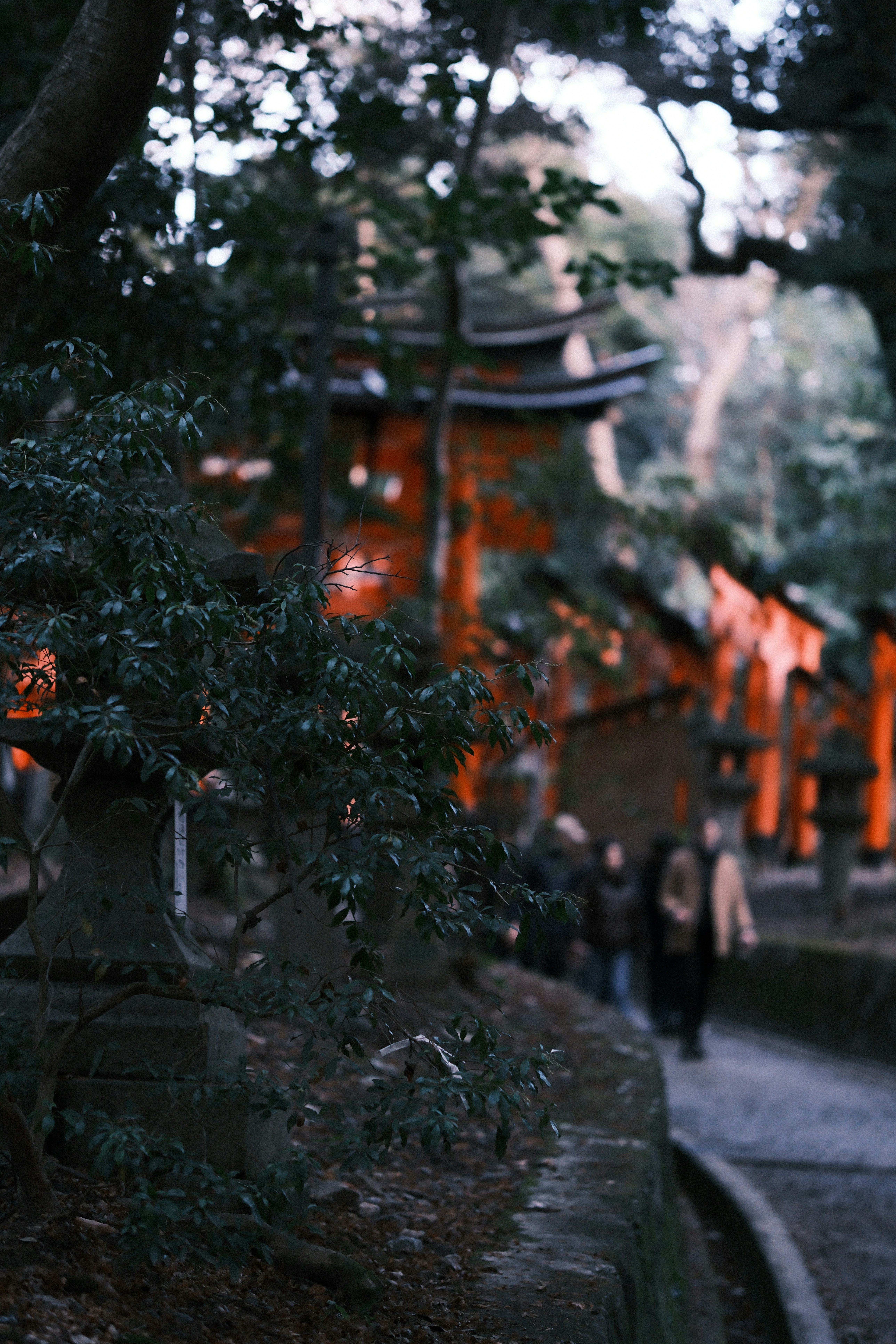 Serene pathway flanked by lush greenery, leading to vibrant orange torii gates in the background. Visitors stroll through this tranquil setting.