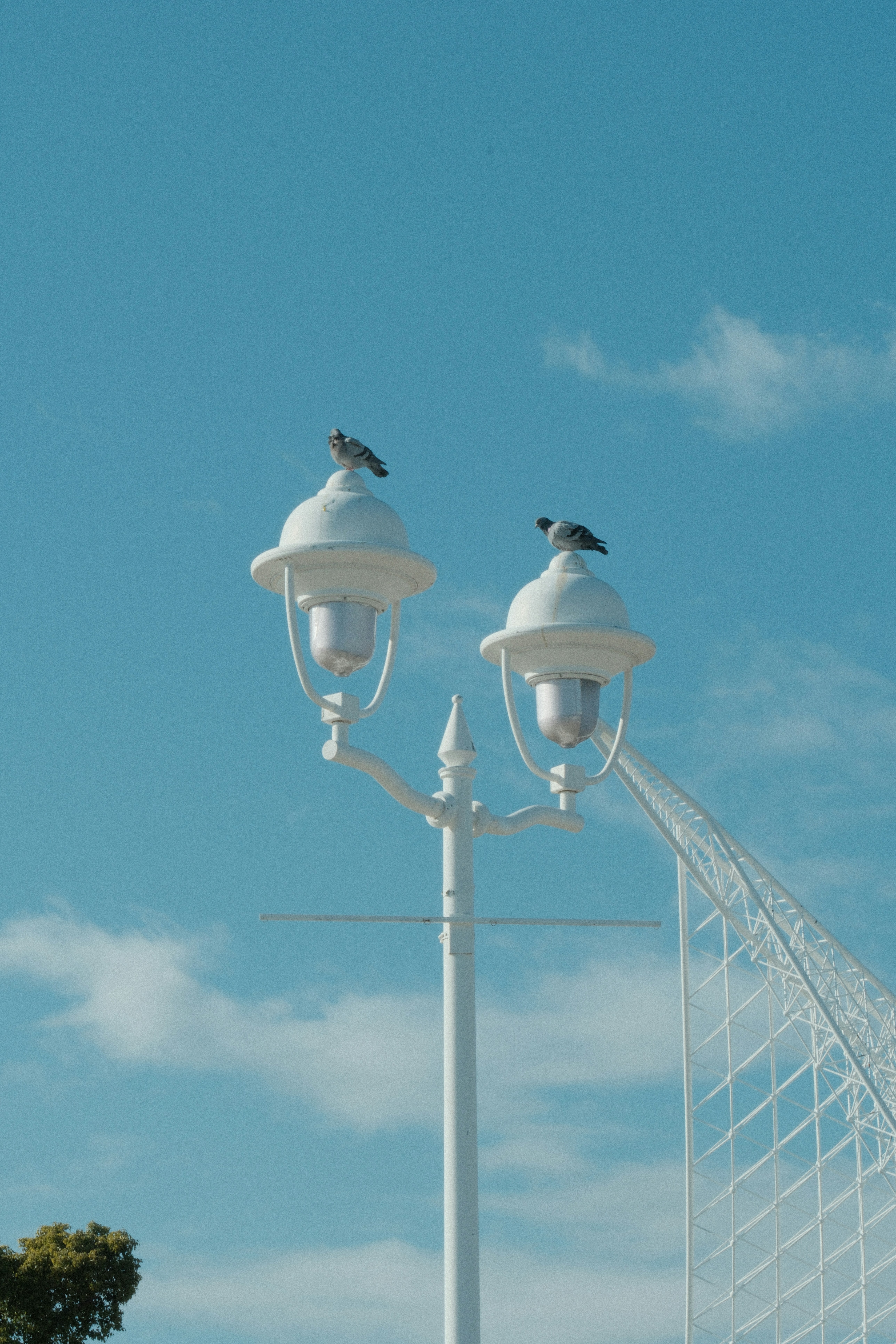 Two pigeons resting atop ornate street lamps against a bright blue sky with scattered clouds.