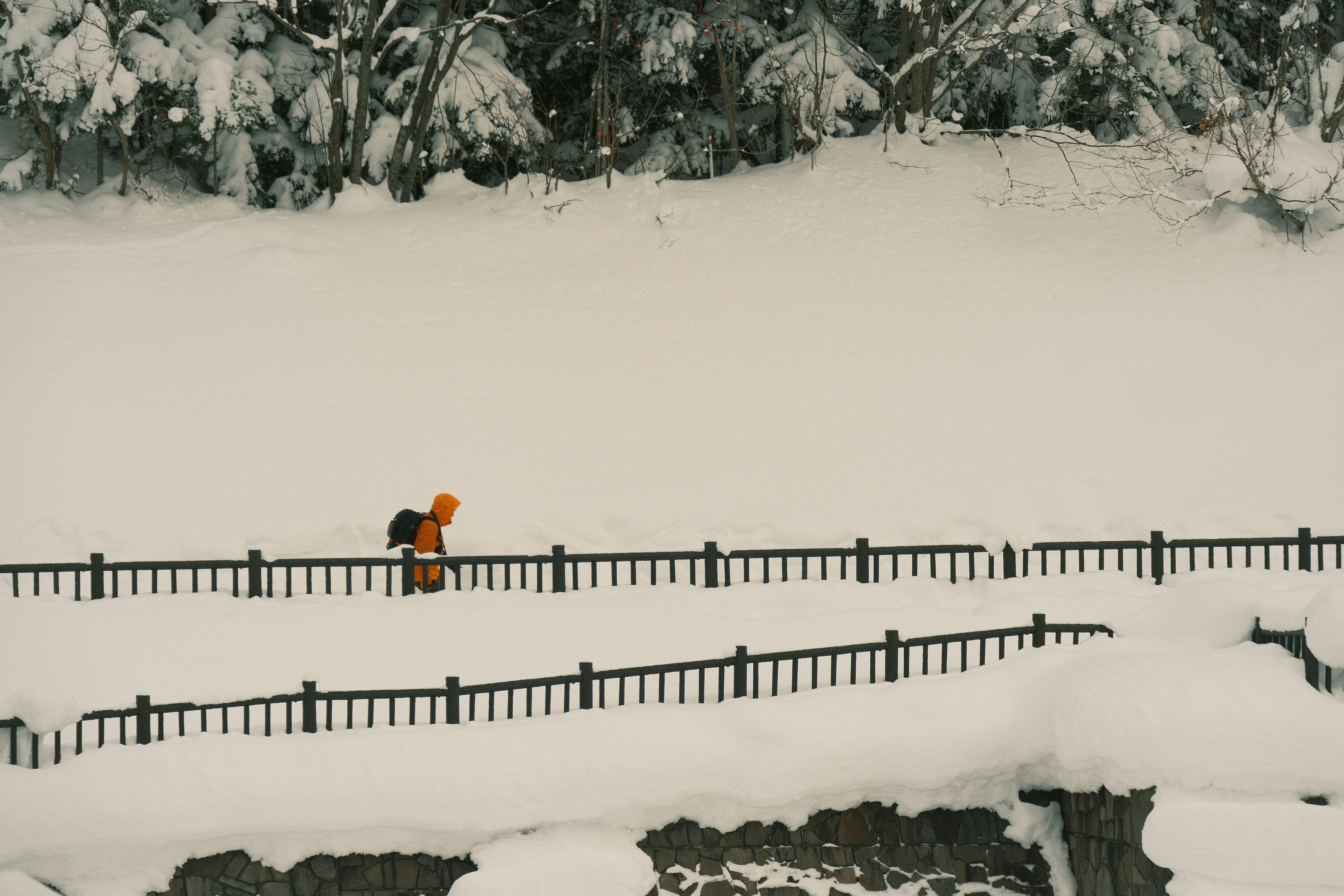 Solitary Journey Through Winter's Embrace