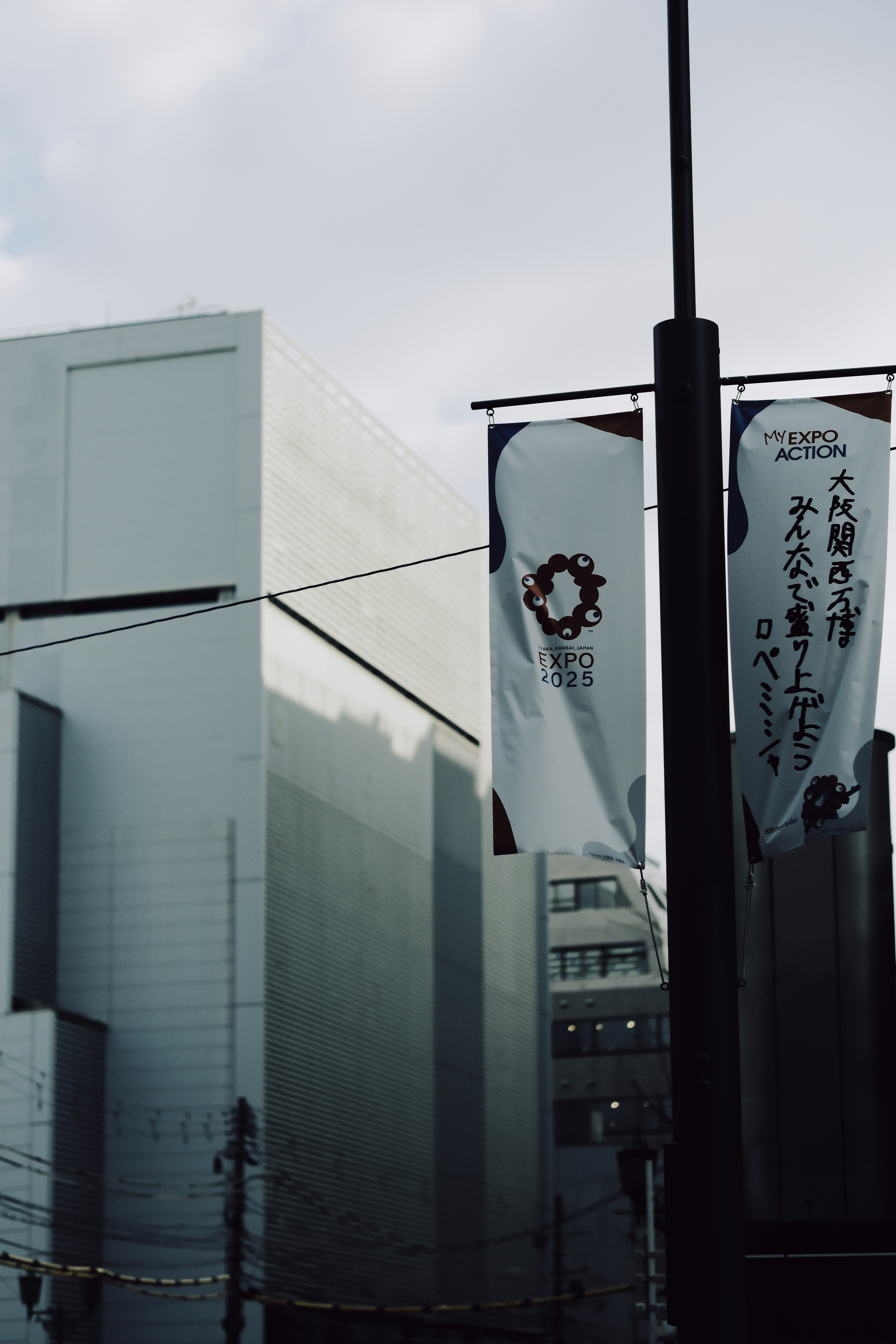 Bannered Skyline: Vertical Flags Framing a Modern Campus