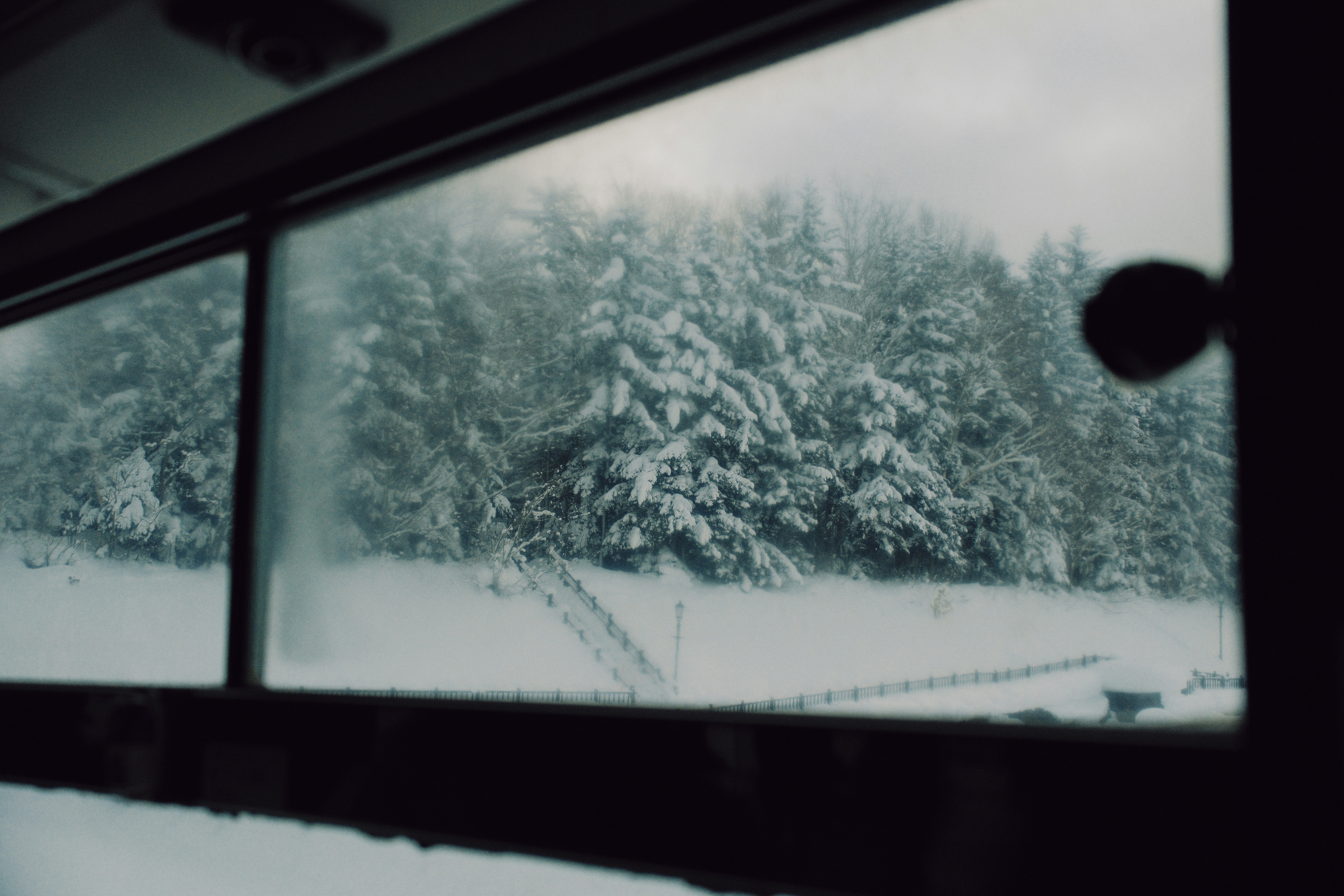Snowy trees seen through a frosted window pane.