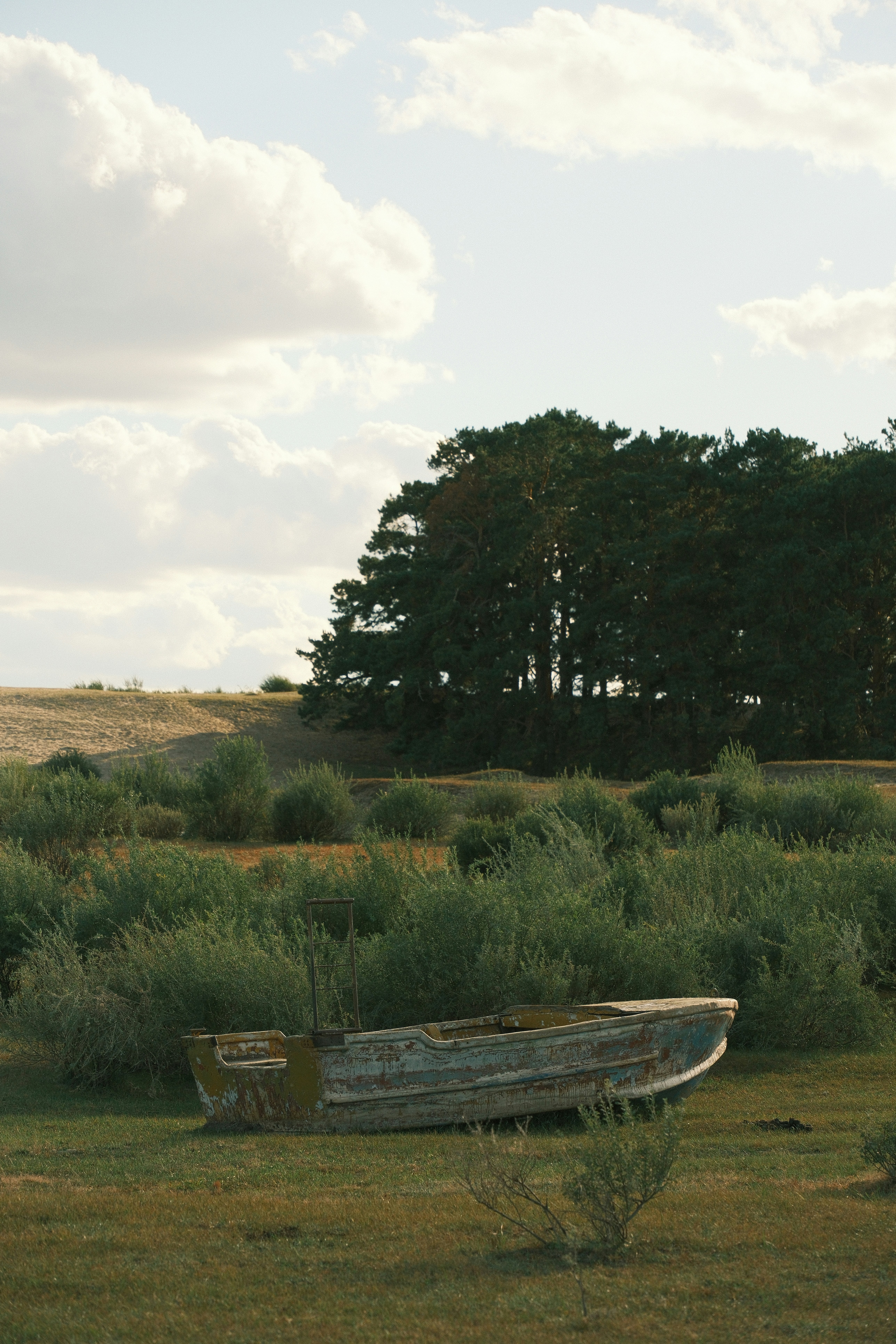 Old wooden boat rests on grassy shore near trees