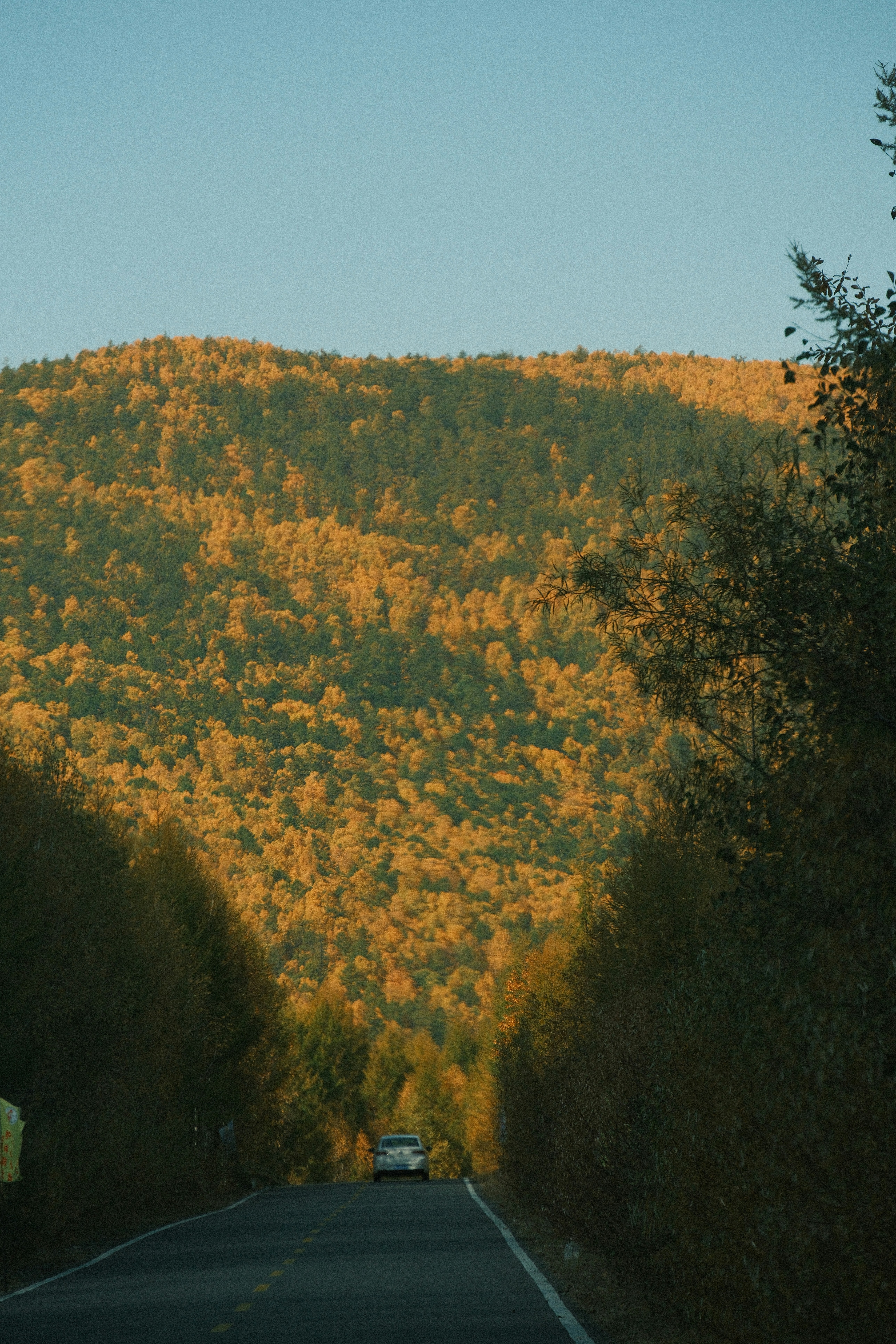 Car driving on road towards autumn forest hill