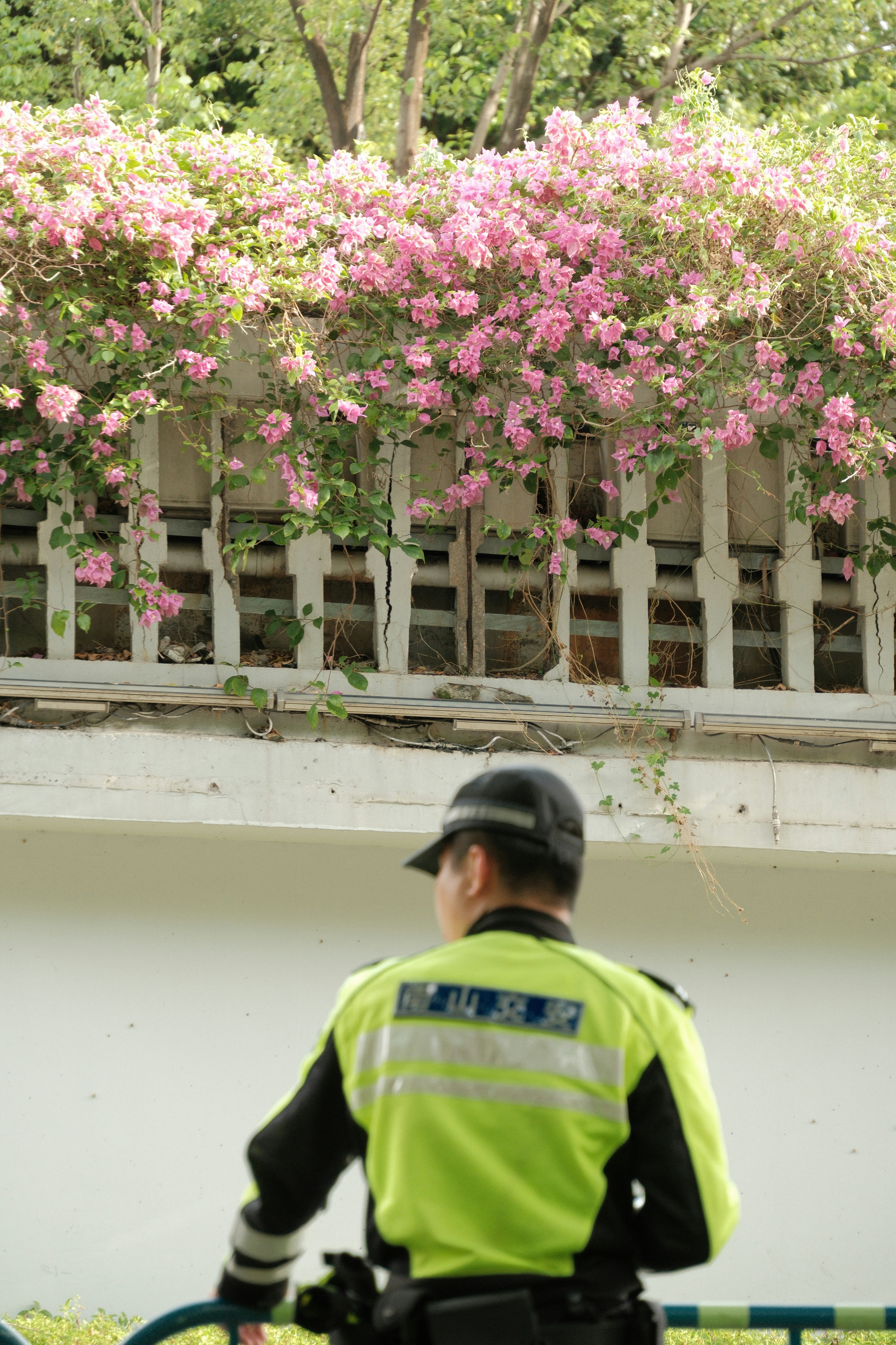 Officer in fluorescent jacket with pink flowers above