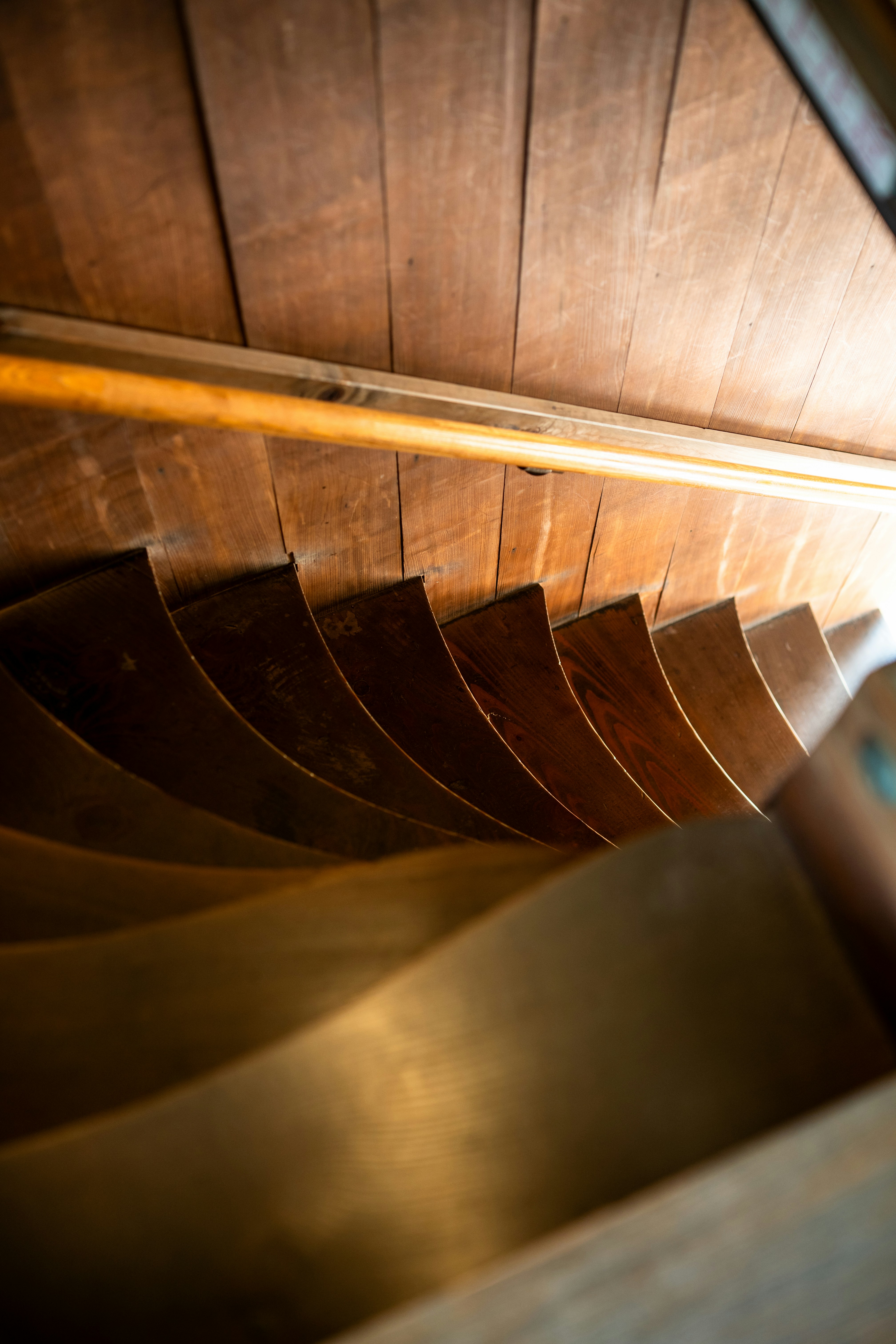 The Curved Embrace of Wood