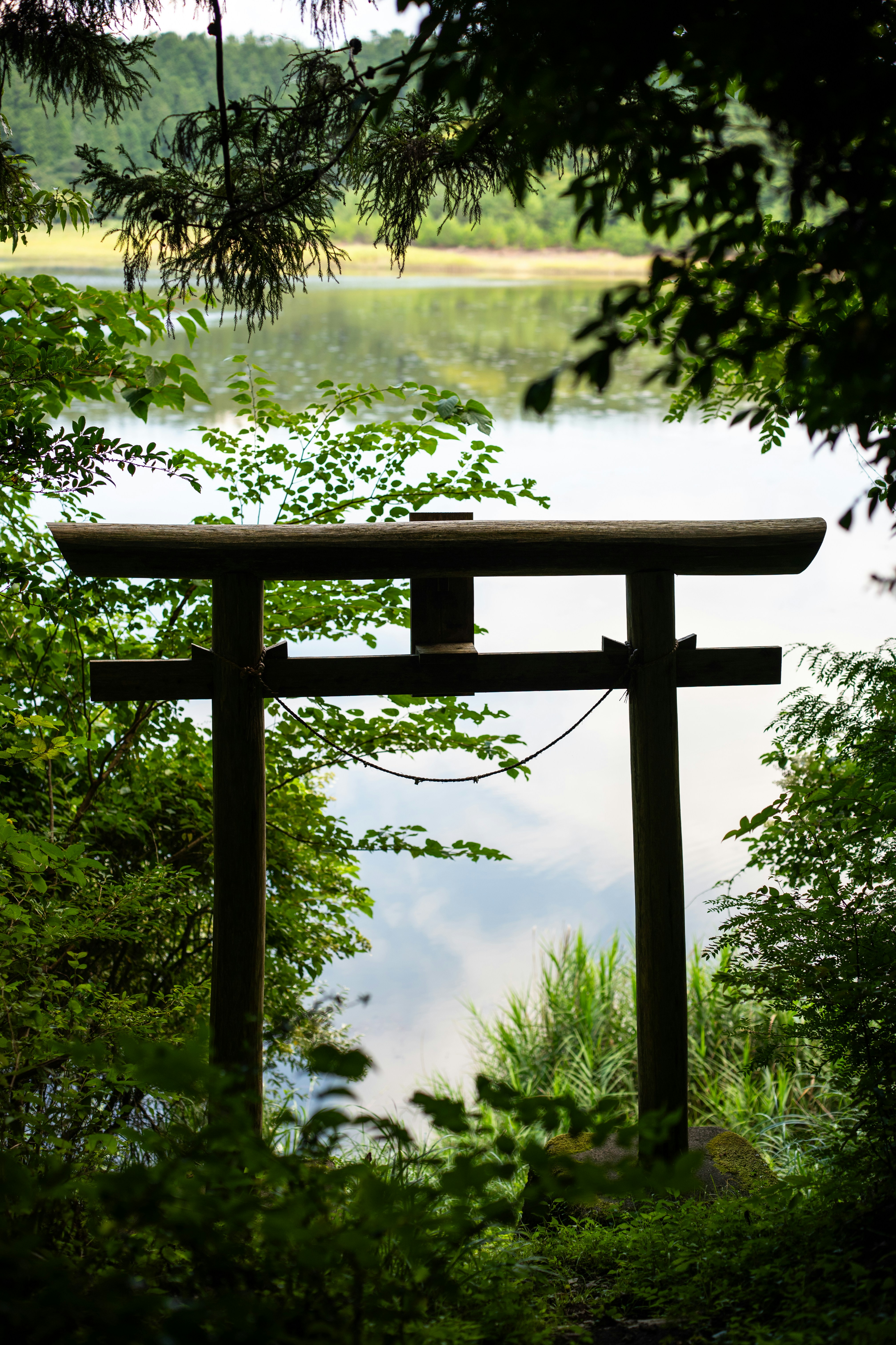 Wooden torii gate by a reflective lake