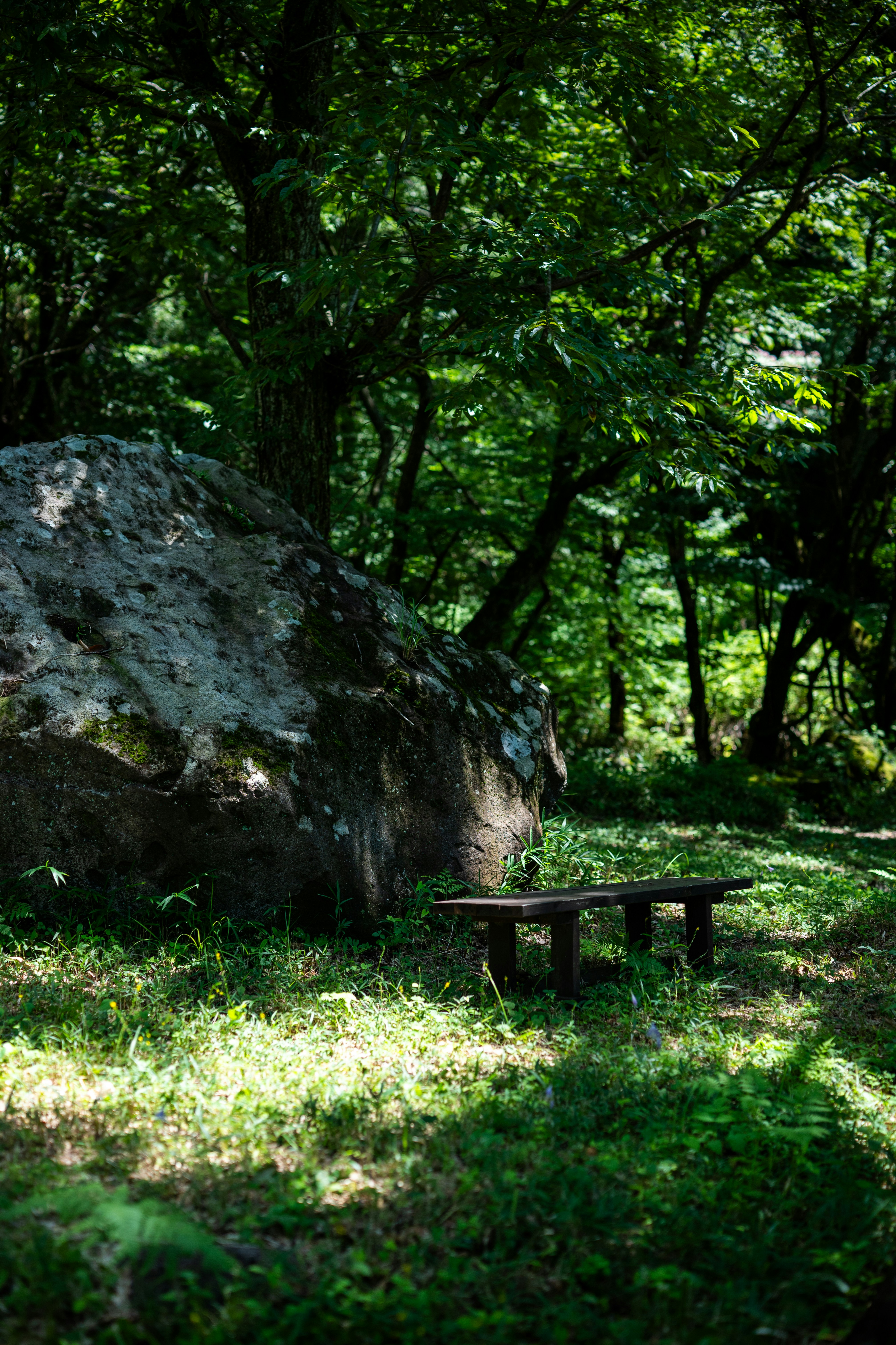 Nature's Quiet Retreat: A Hidden Sanctuary