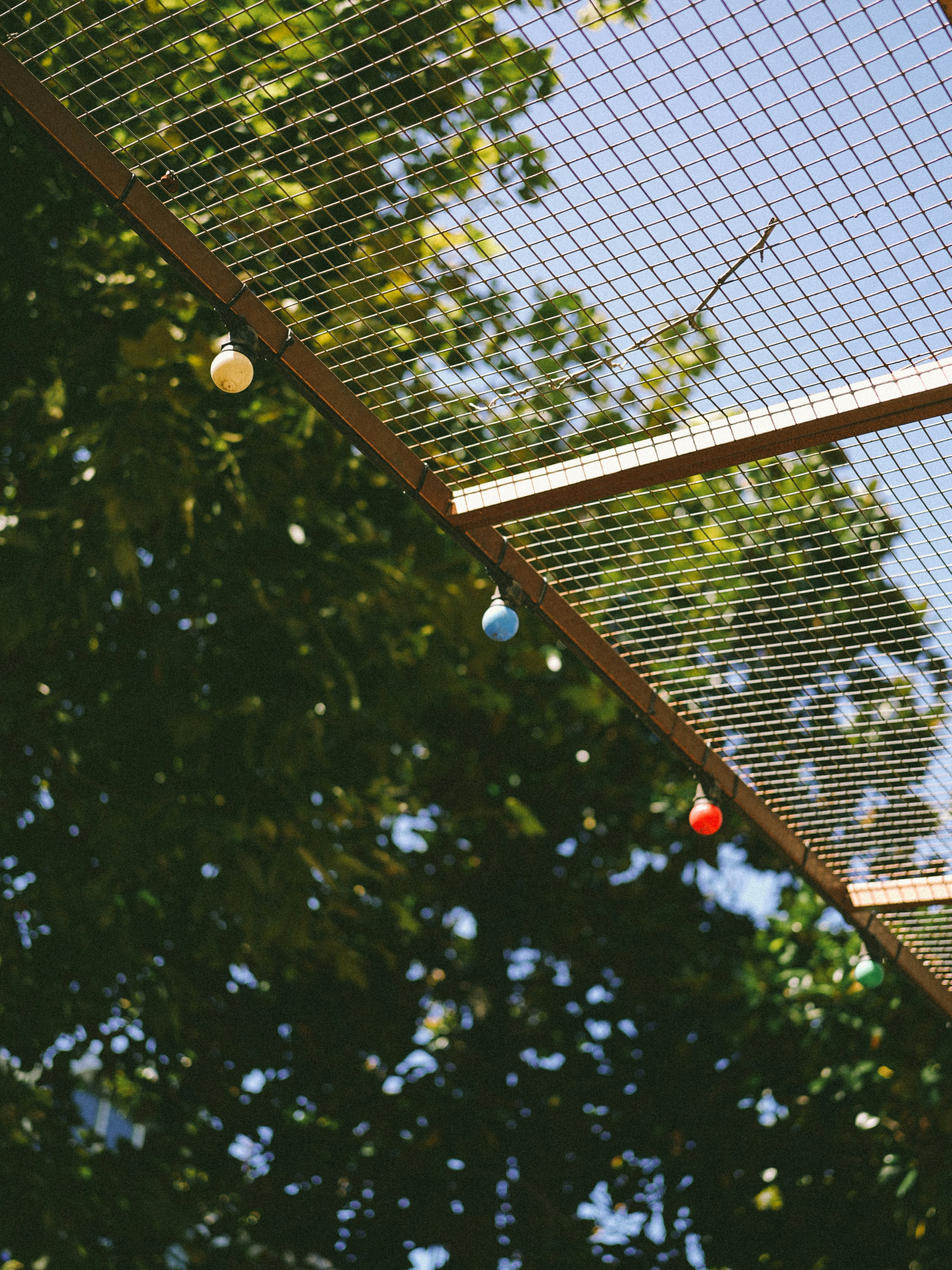 Colorful lights strung on a wire under a net