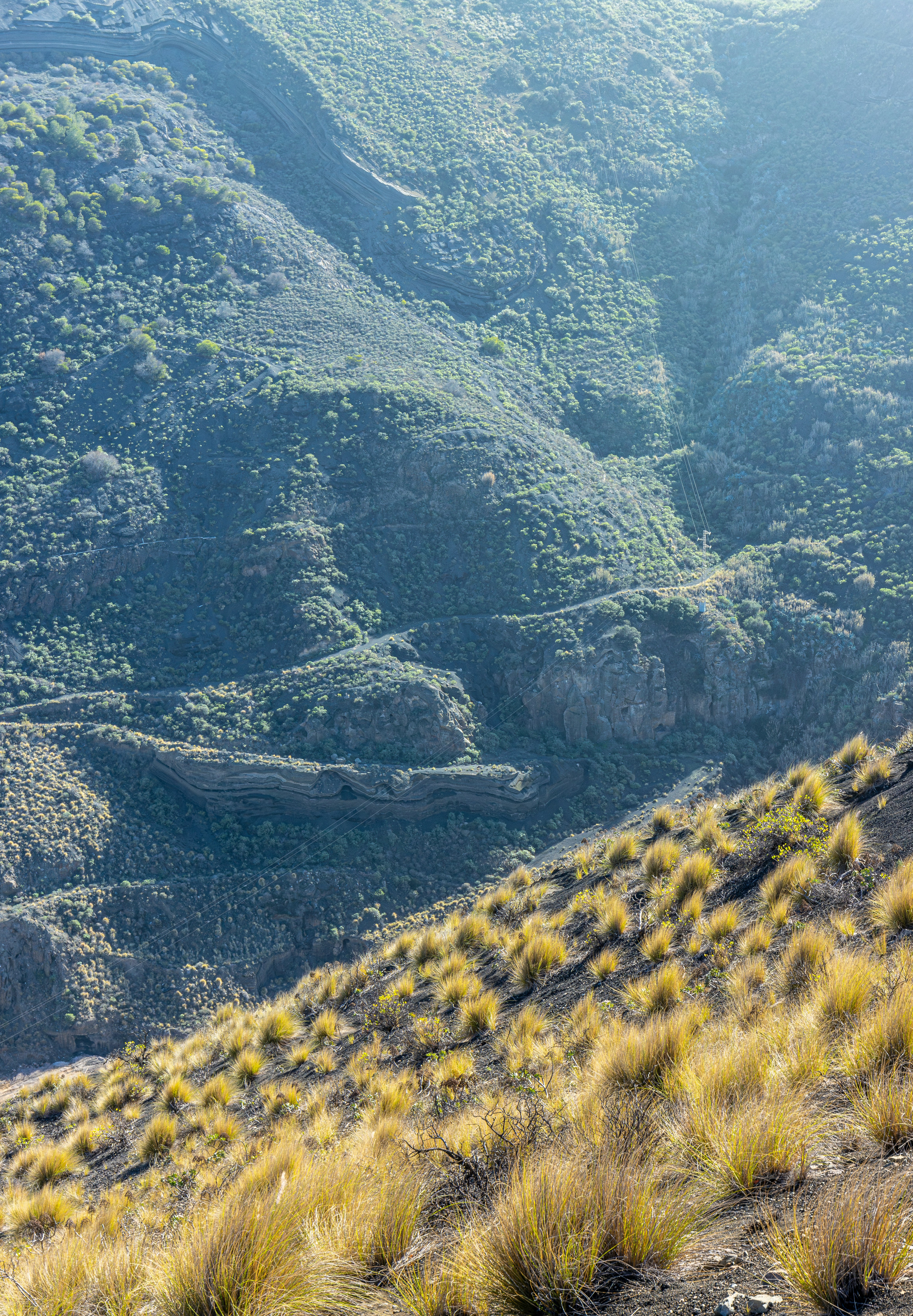 Valley view from Caldera de Bandama, Gran Canaria. | Grassy hillside with winding road on mountain