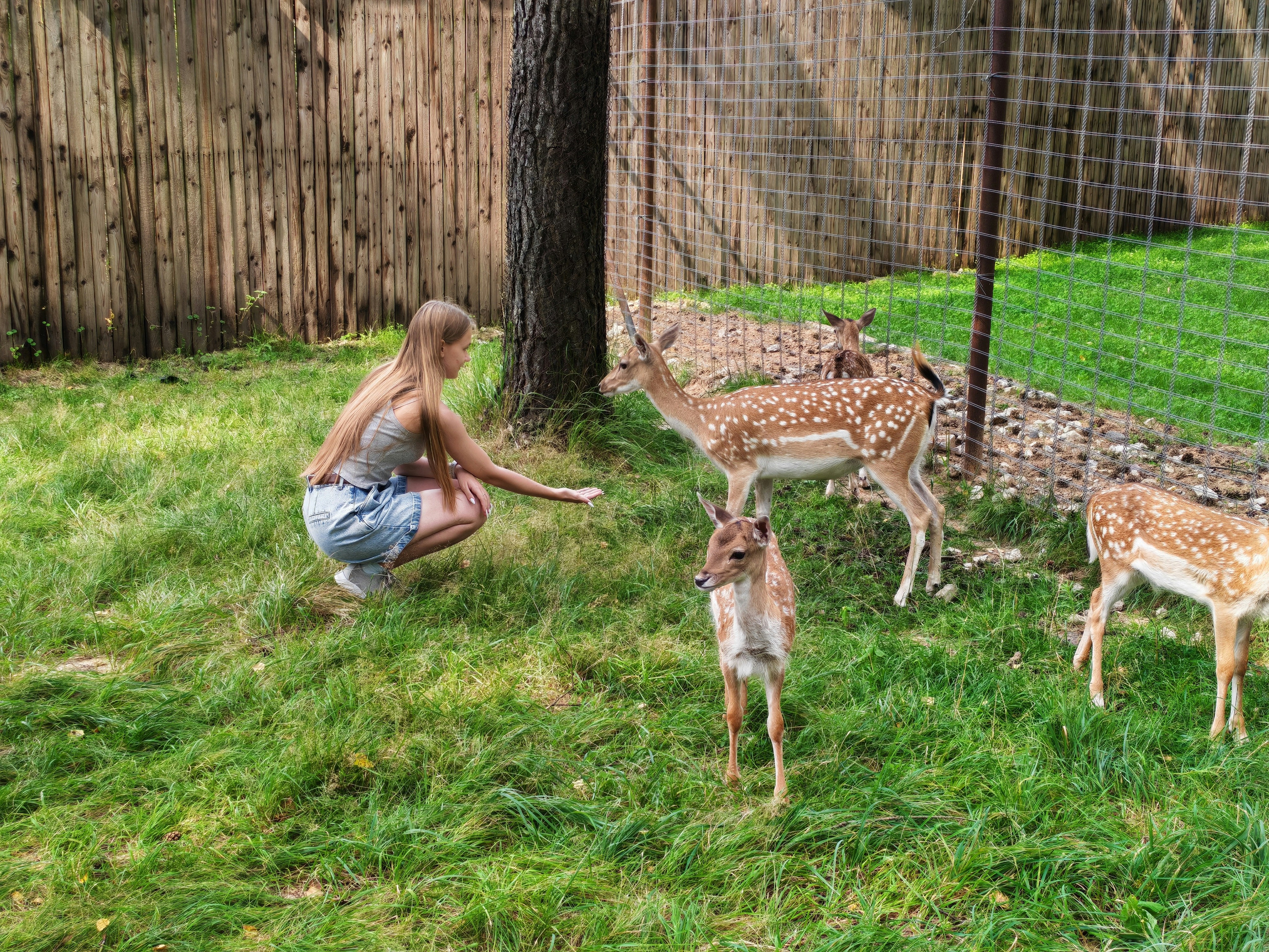 A young woman crouches down to interact with a group of deer in a lush green setting, showcasing a moment of connection between humans and wildlife.
