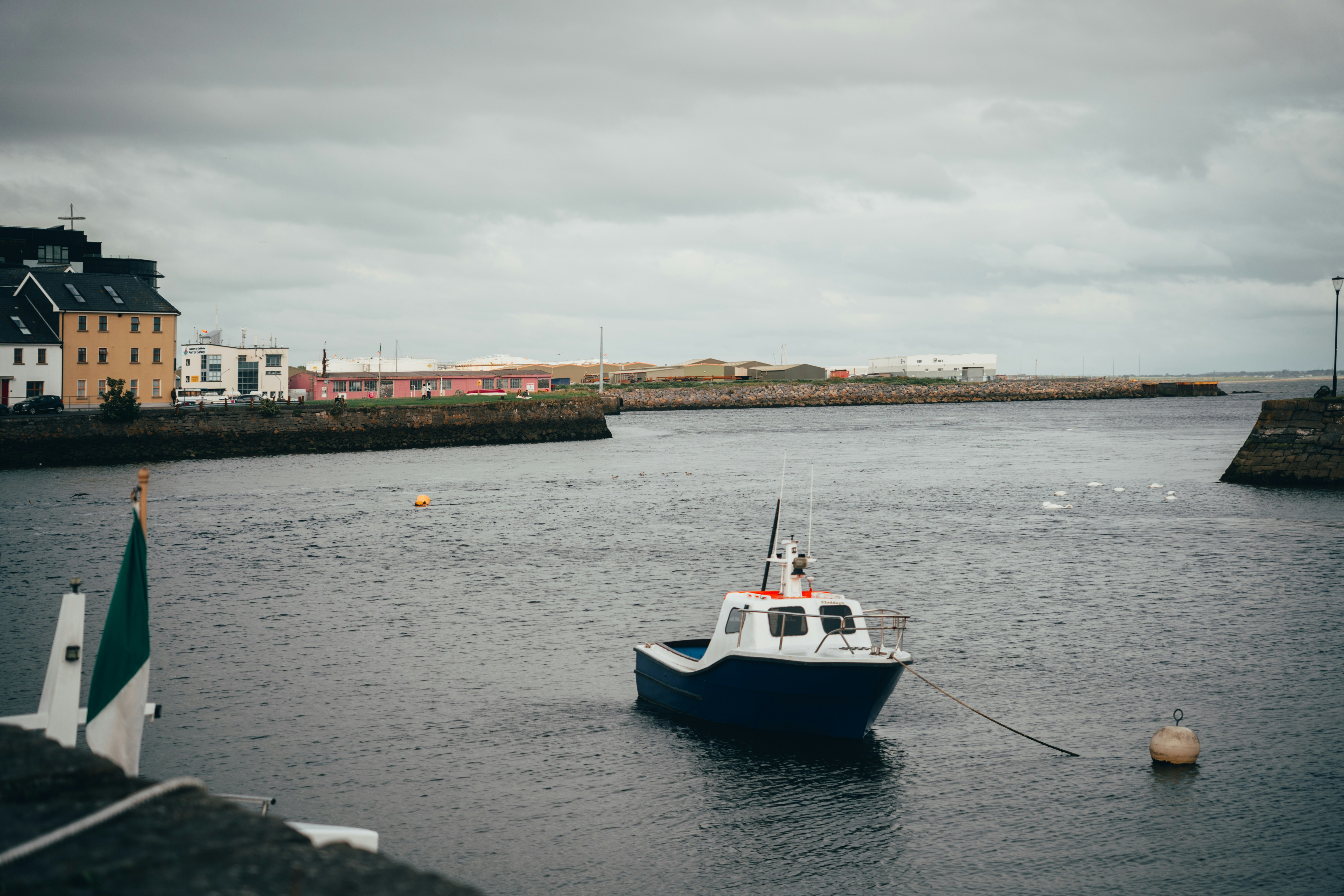 Harbor Serenity: A Quiet Moment on the Water