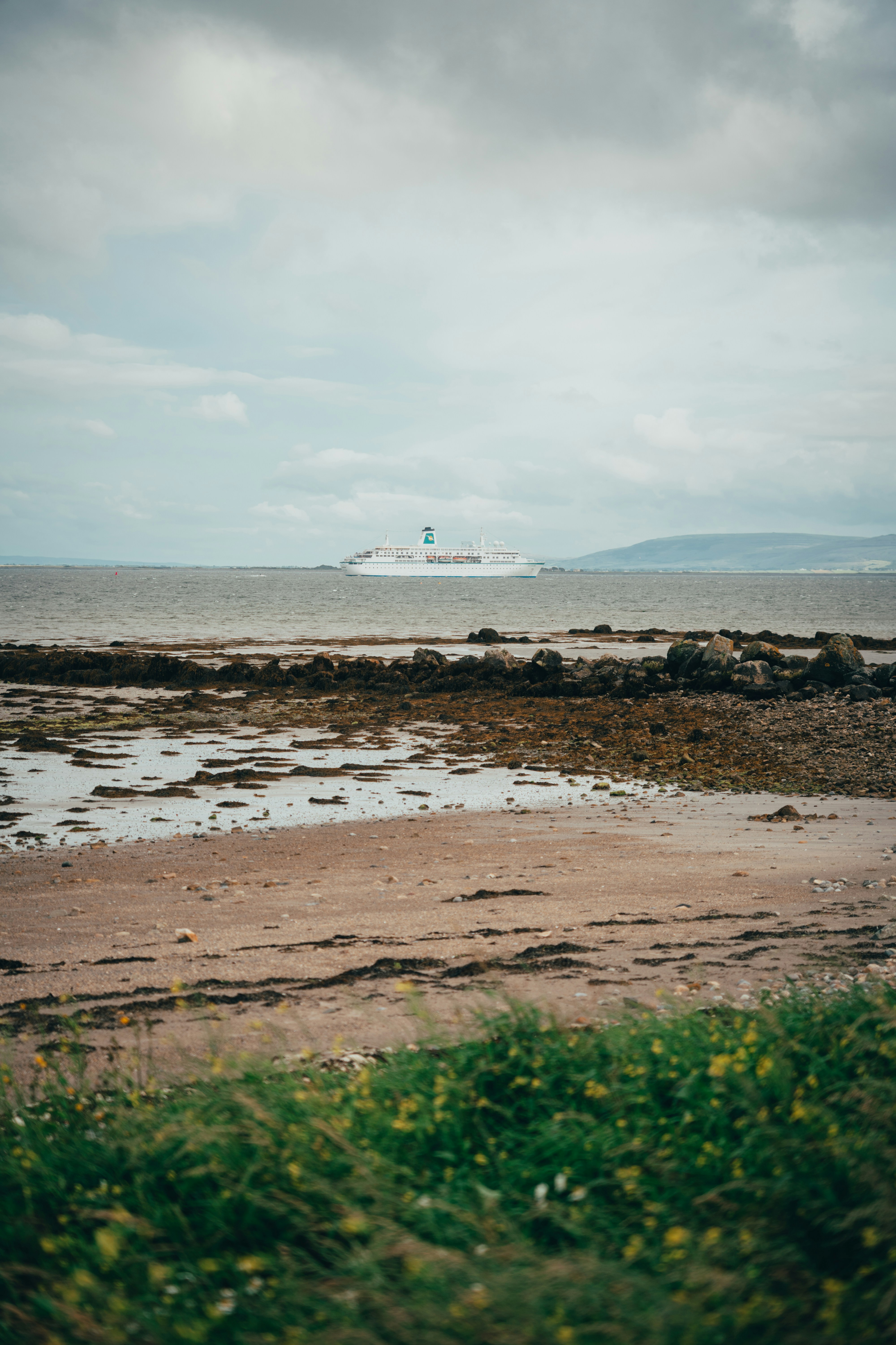 A large white ferry sails on the ocean near shore.